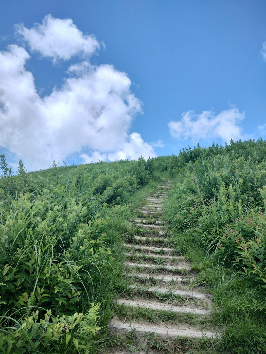 経塚山・東峰・岩湧山 / ZIMAさんの葛城修験エリアマップ（金剛山周辺）の活動日記 | YAMAP / ヤマップ