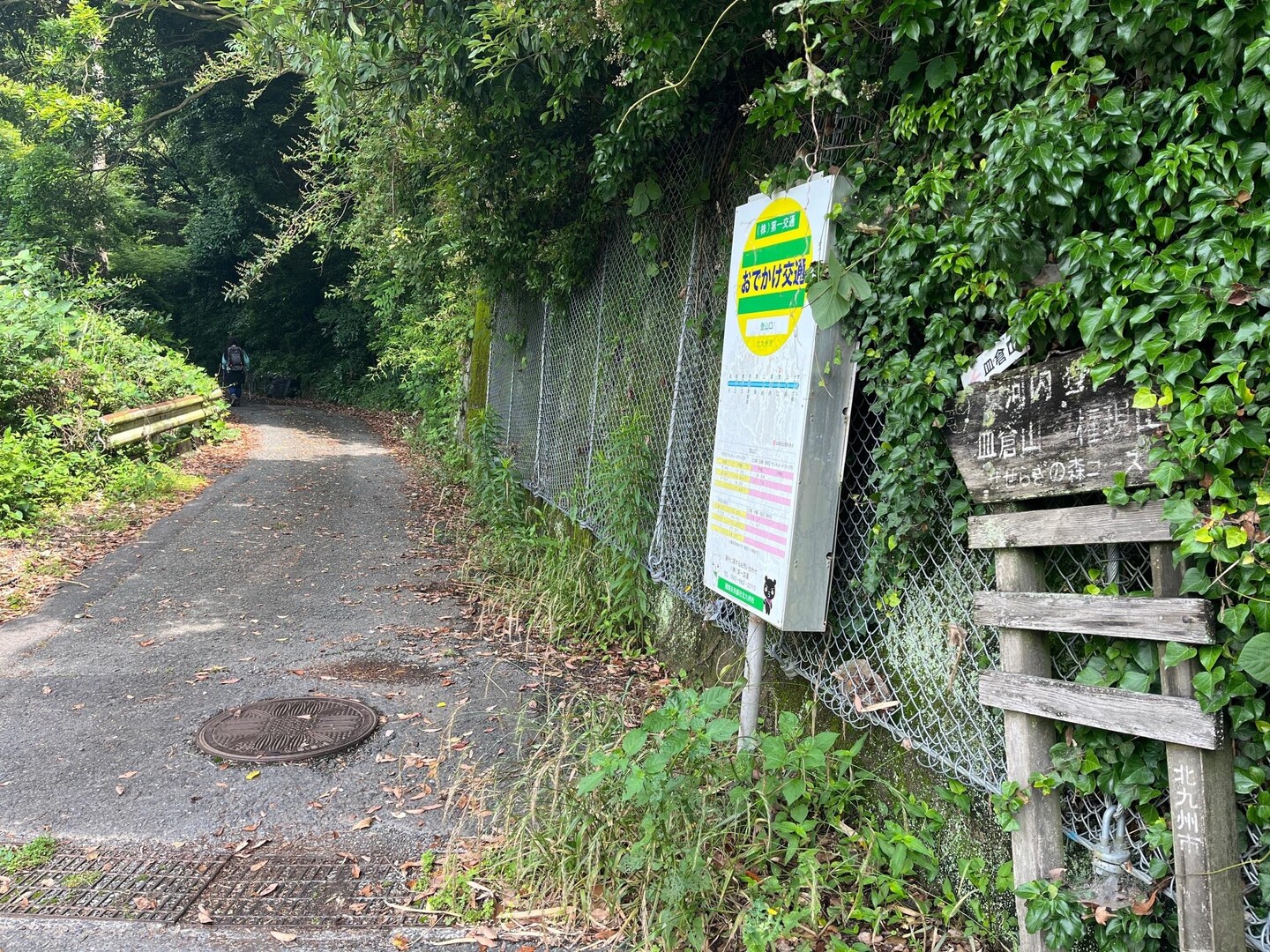 Meeyaさんの投稿したフィールドメモ | YAMAP / ヤマップ