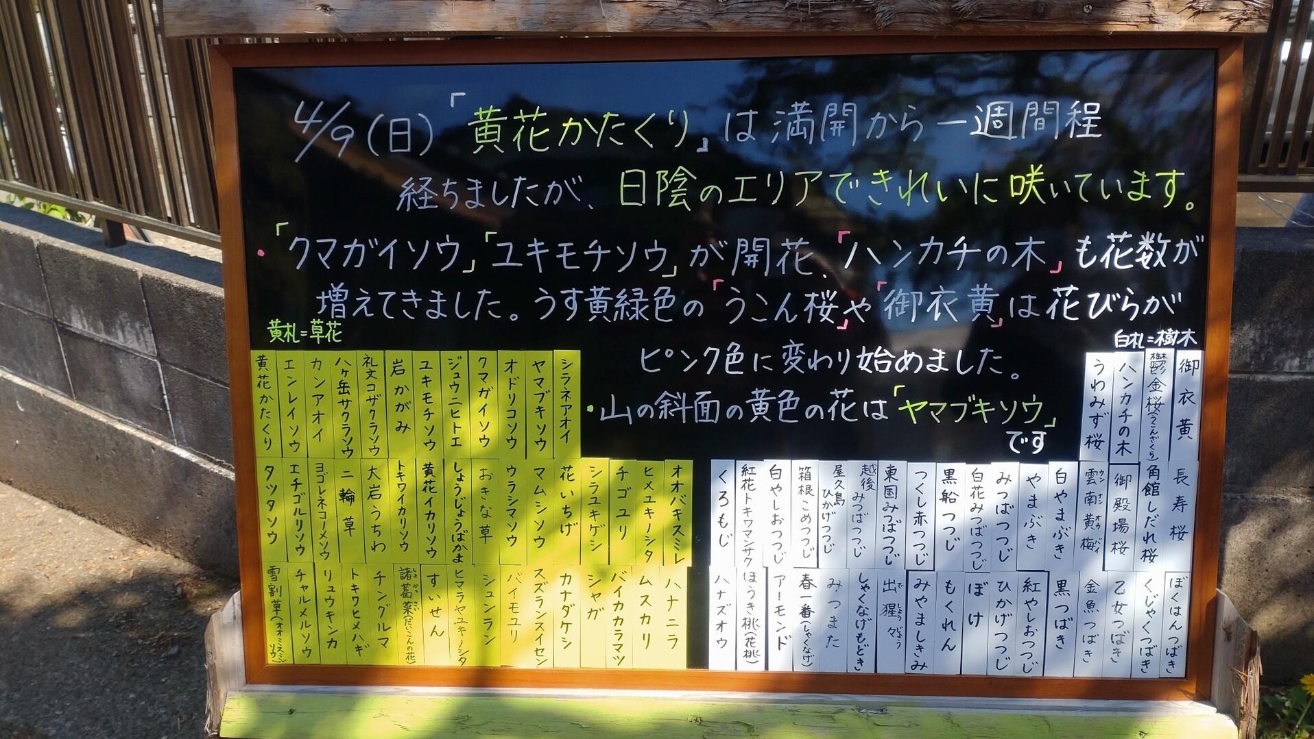 4月9日、三ッ峠山に登った帰りに城山かた... / HIROHIROさんのモーメント | YAMAP / ヤマップ