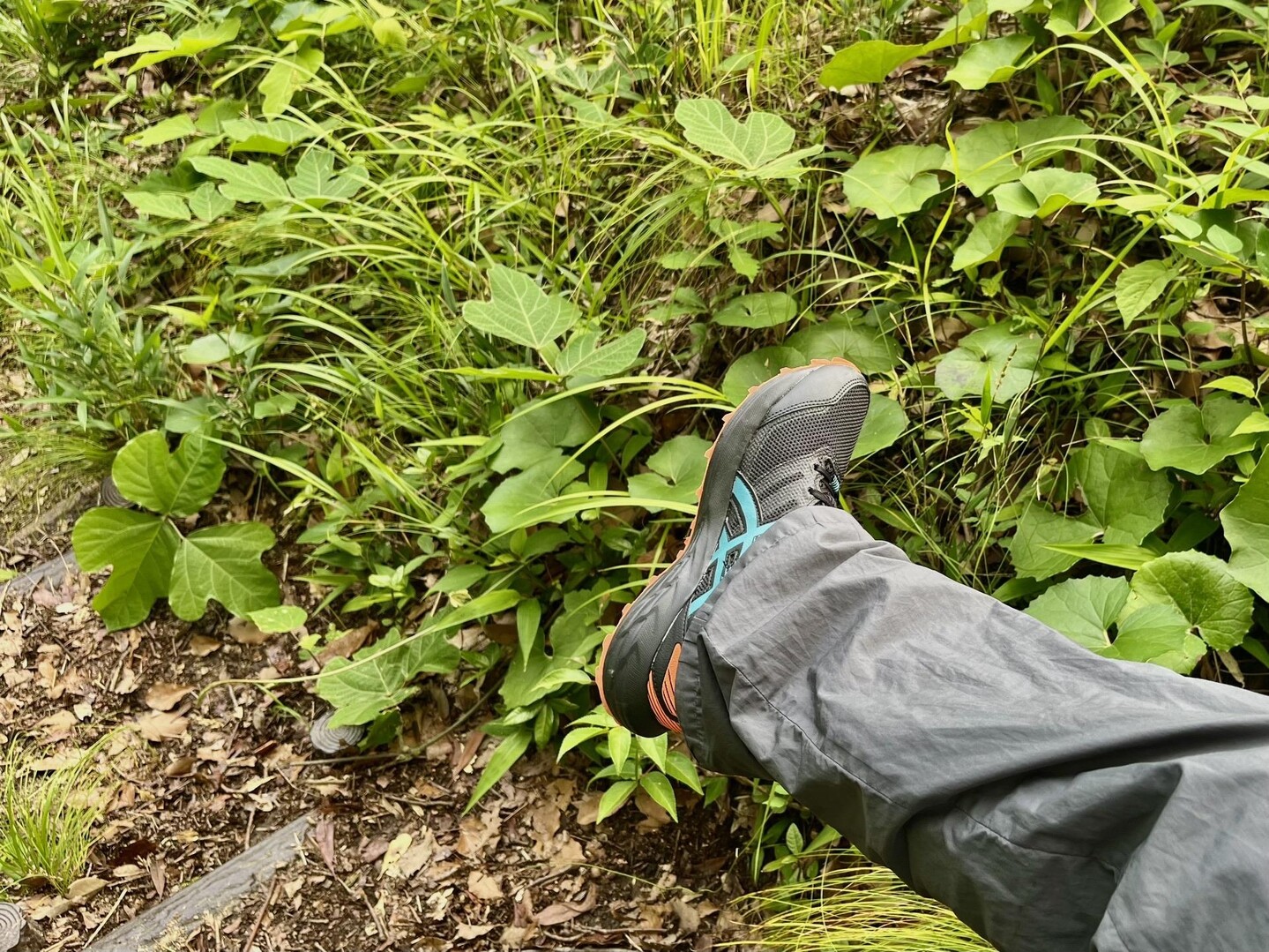 ウォーミングアップに(´>∀