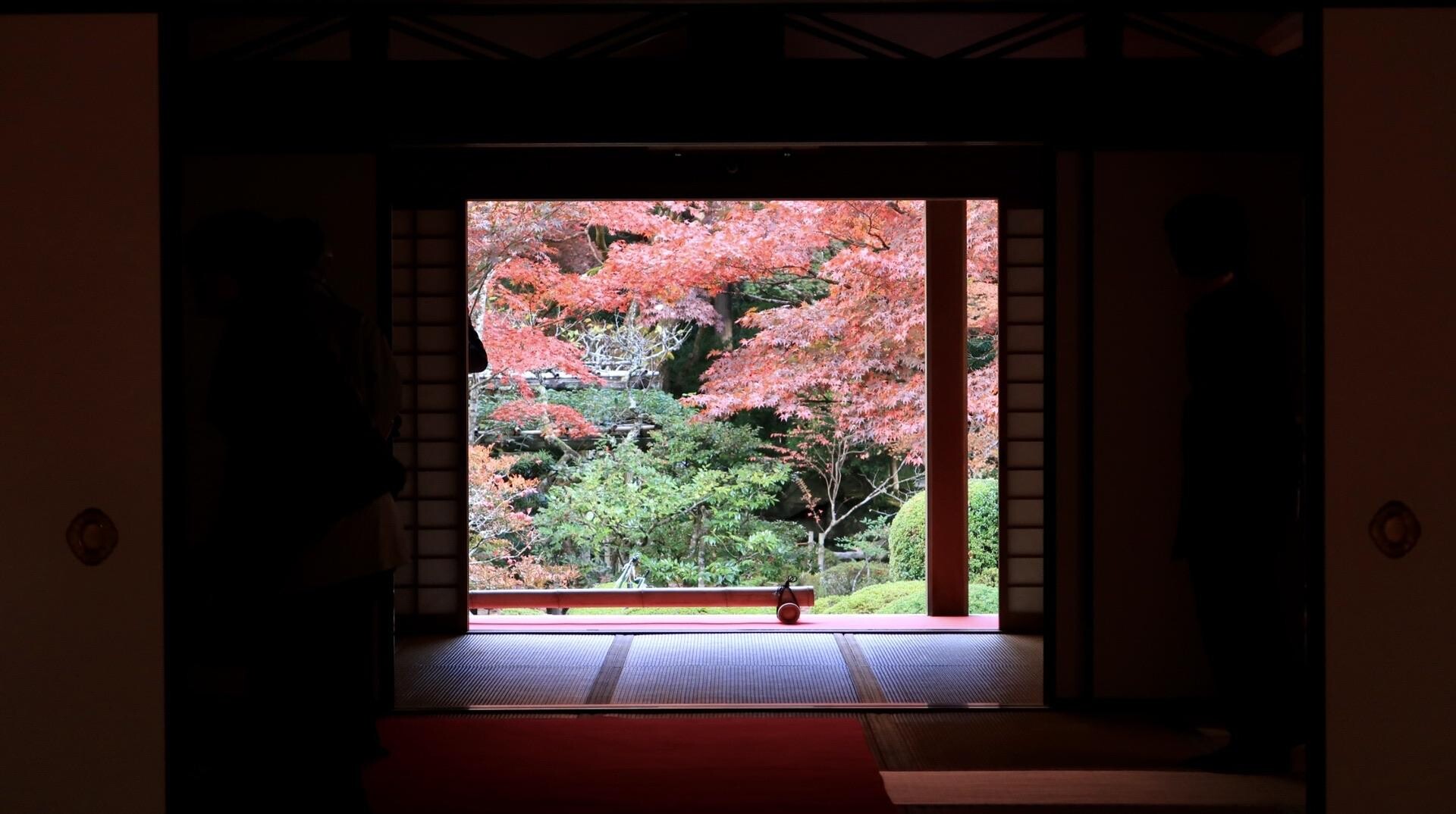 いにしえの湖東三山🍁｡ 家族サービス、... / たけのこ zi ziさんのモーメント | YAMAP / ヤマップ