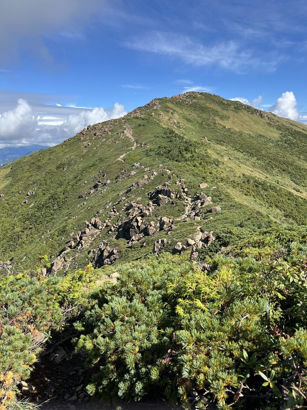 心残りの至仏山 / ka-koさんの尾瀬・燧ヶ岳の活動日記 | YAMAP / ヤマップ