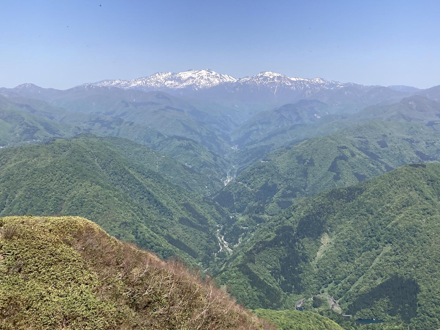 深谷ノ頭・前荒島岳・中荒島岳・荒島岳 / TNさんの荒島岳の活動データ | YAMAP / ヤマップ