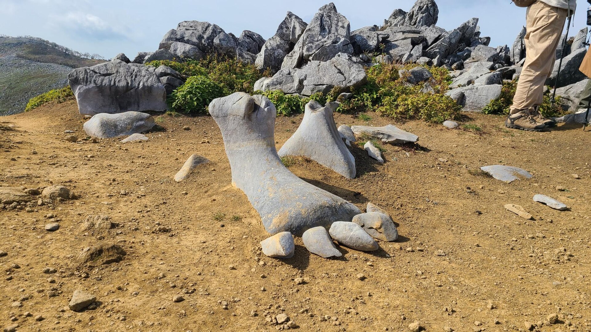 南霊岳・霊仙山最高点・霊仙山・経塚山 / naOmi-n7さんの霊仙山の活動データ | YAMAP / ヤマップ