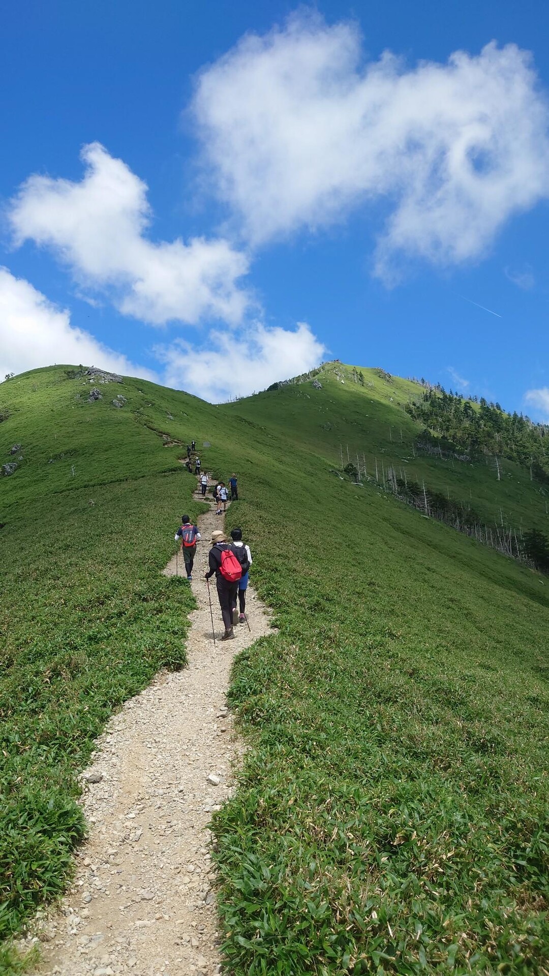 blackmoreさんの投稿したフィールドメモ | YAMAP / ヤマップ