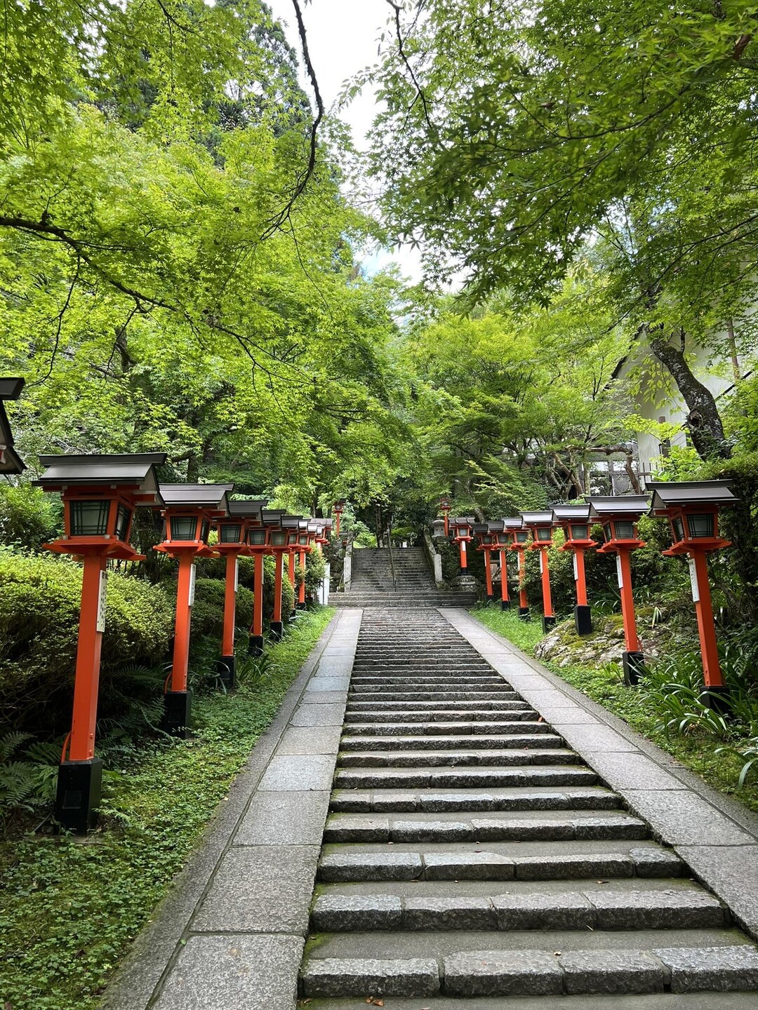 貴船山・鞍馬山 / mimさんの貴船山・鞍馬山の活動データ | YAMAP / ヤマップ