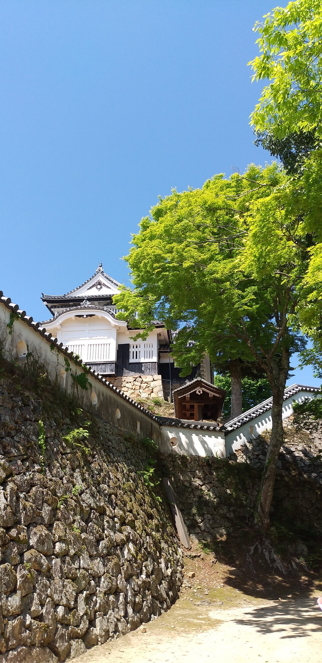 2022.05.08(日) 12:46 / あんぽたんぽ さんのモーメント | YAMAP / ヤマップ