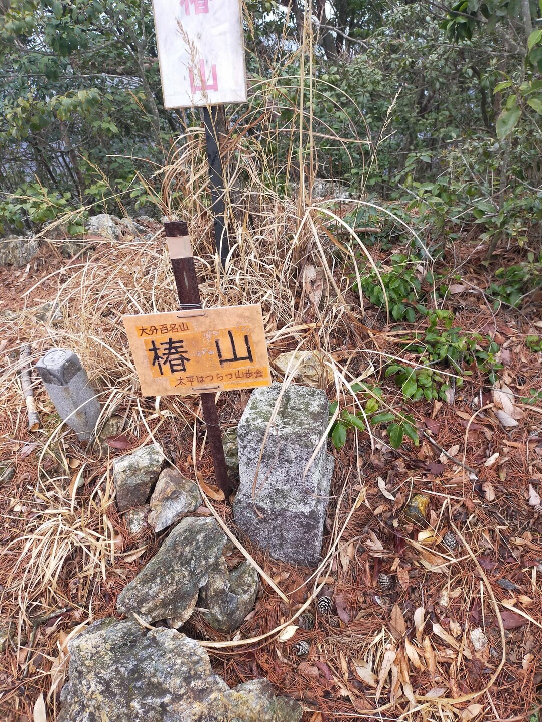 椿山 / かずさんの椿山の活動データ | YAMAP / ヤマップ