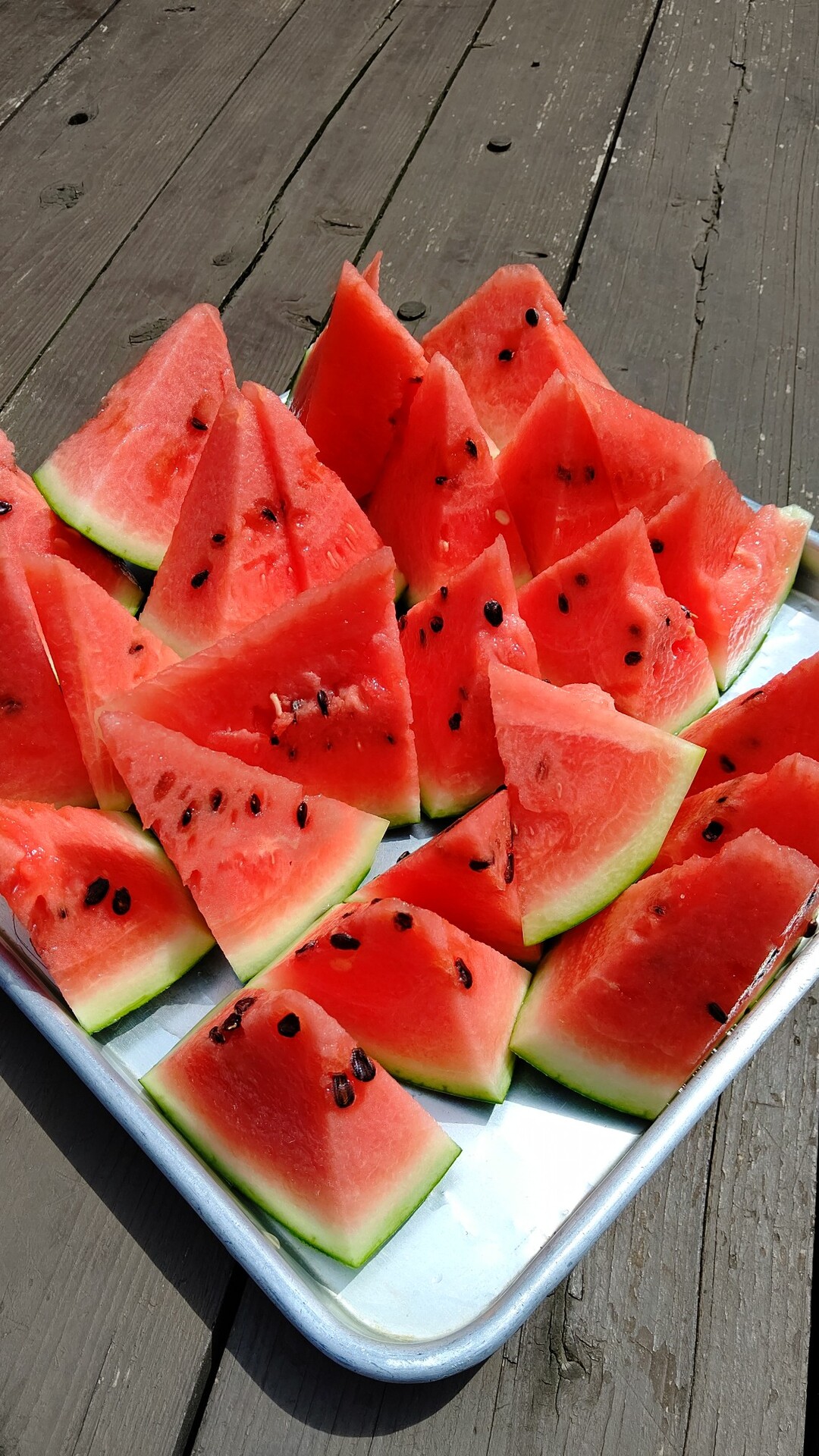 立中 登山道整備 / みゆきさんの九重山（久住山）・大船山・星生山の活動データ | YAMAP / ヤマップ