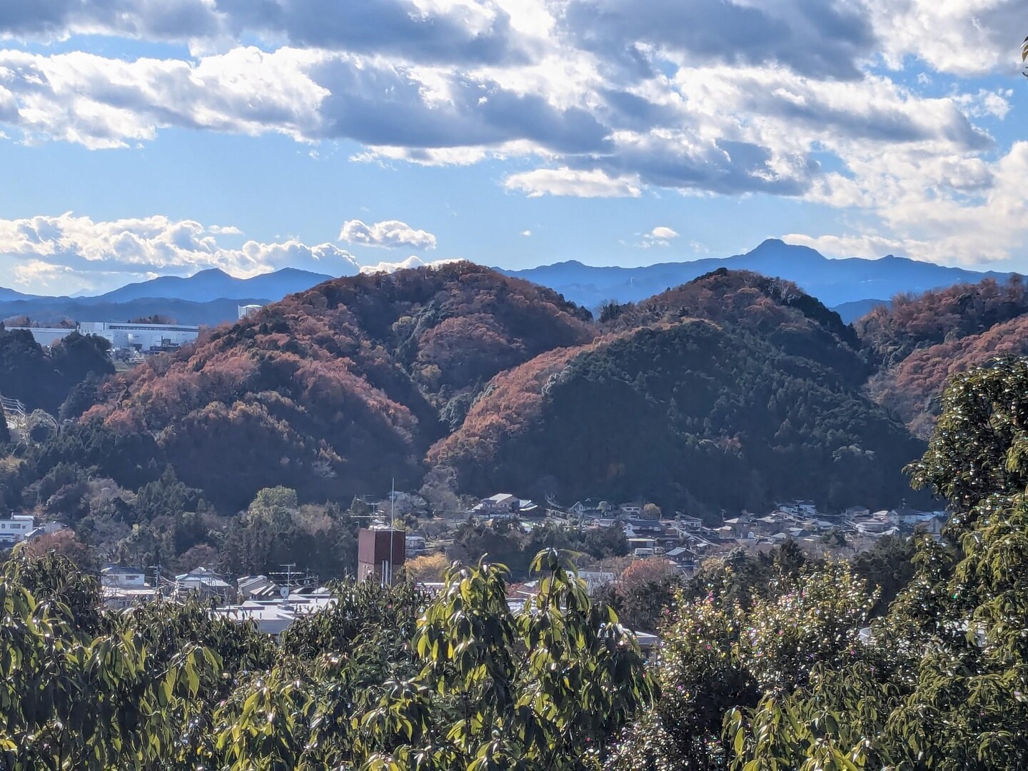 OH!!!~飯能!!! ちょっぴり山🍁ゆる登山部 / Katherine♪さんの天覧山・多峯主山・天覚山の活動データ | YAMAP / ヤマップ