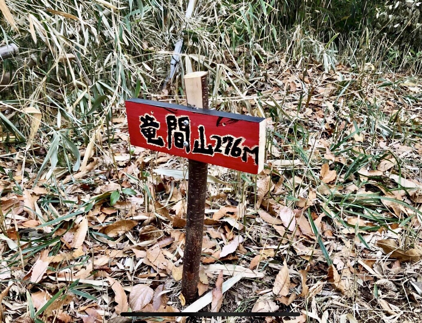 🐲竜間山🐲2024 DRAGON TRAIL㉙ / Lucky Jr.さんの生駒山・神津嶽・大原山の活動データ | YAMAP / ヤマップ