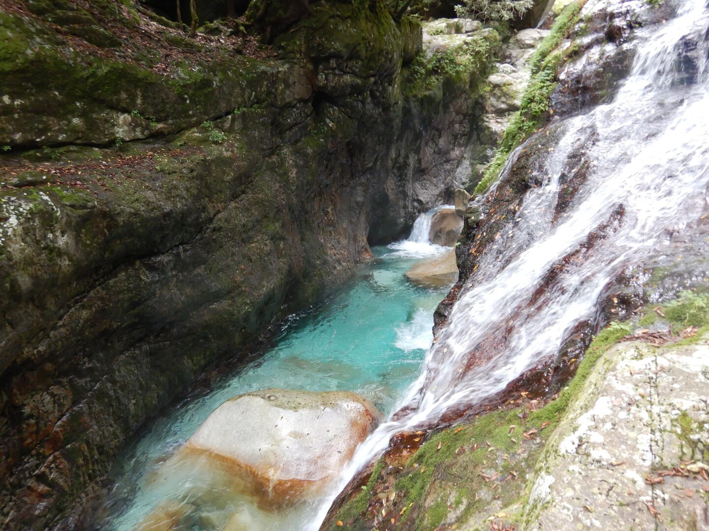 前鬼 沢登り-2023-09-17 / PON TWOさんの八経ヶ岳の活動データ | YAMAP / ヤマップ