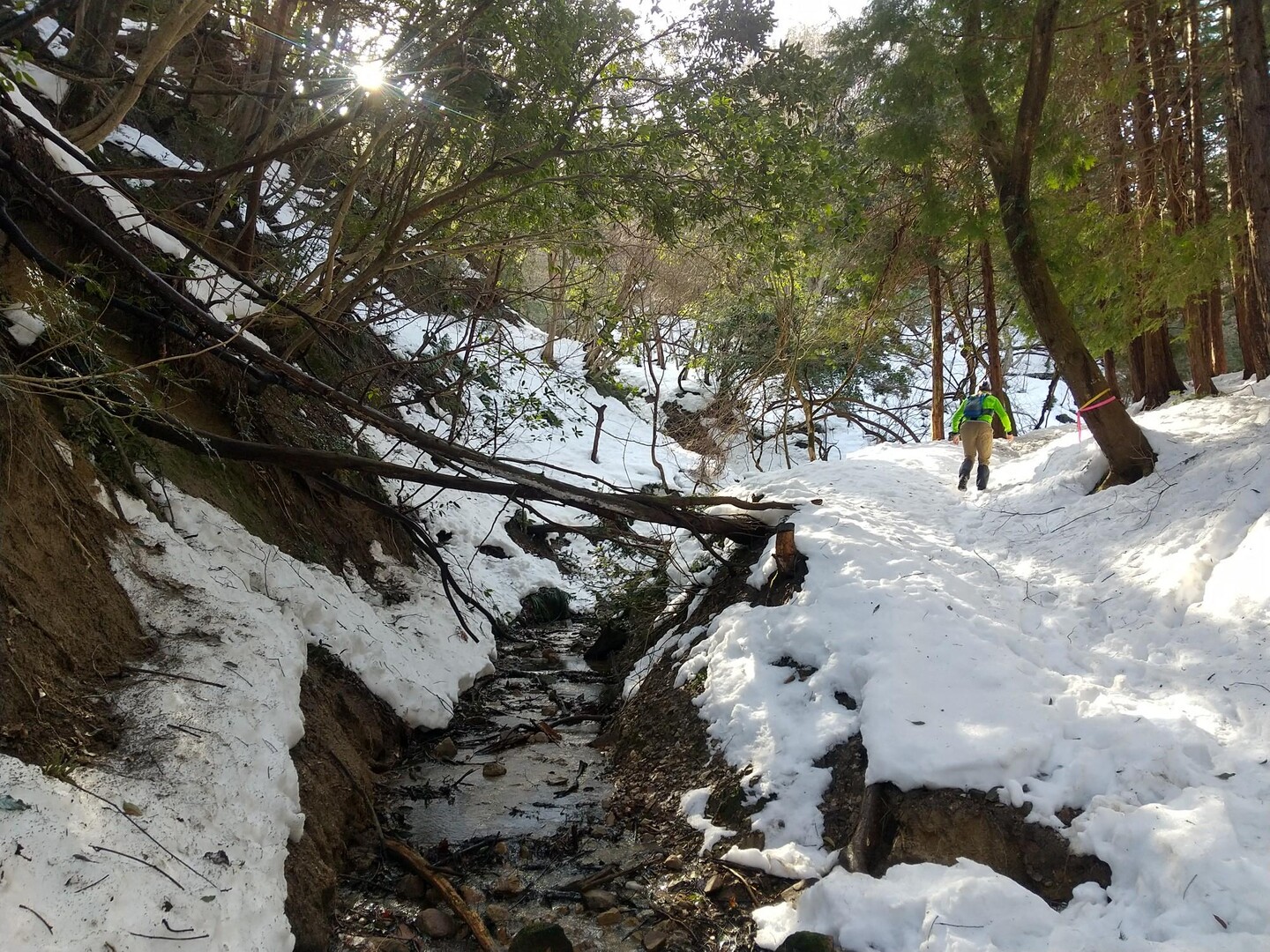 鍛錬？の三郡山 / mipotさんの三郡山の活動データ | YAMAP / ヤマップ
