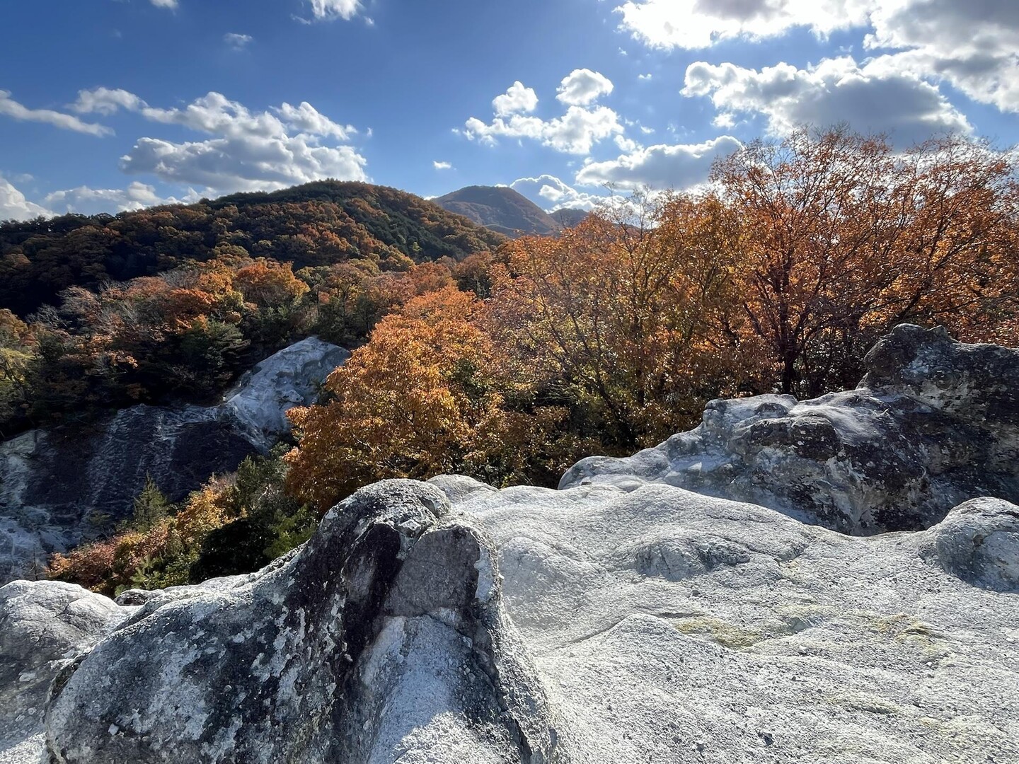 屯鶴峯・二上山（雌岳）・二上山（雄岳） / Sueさんさんの金剛山・二上山・大和葛城山の活動データ | YAMAP / ヤマップ