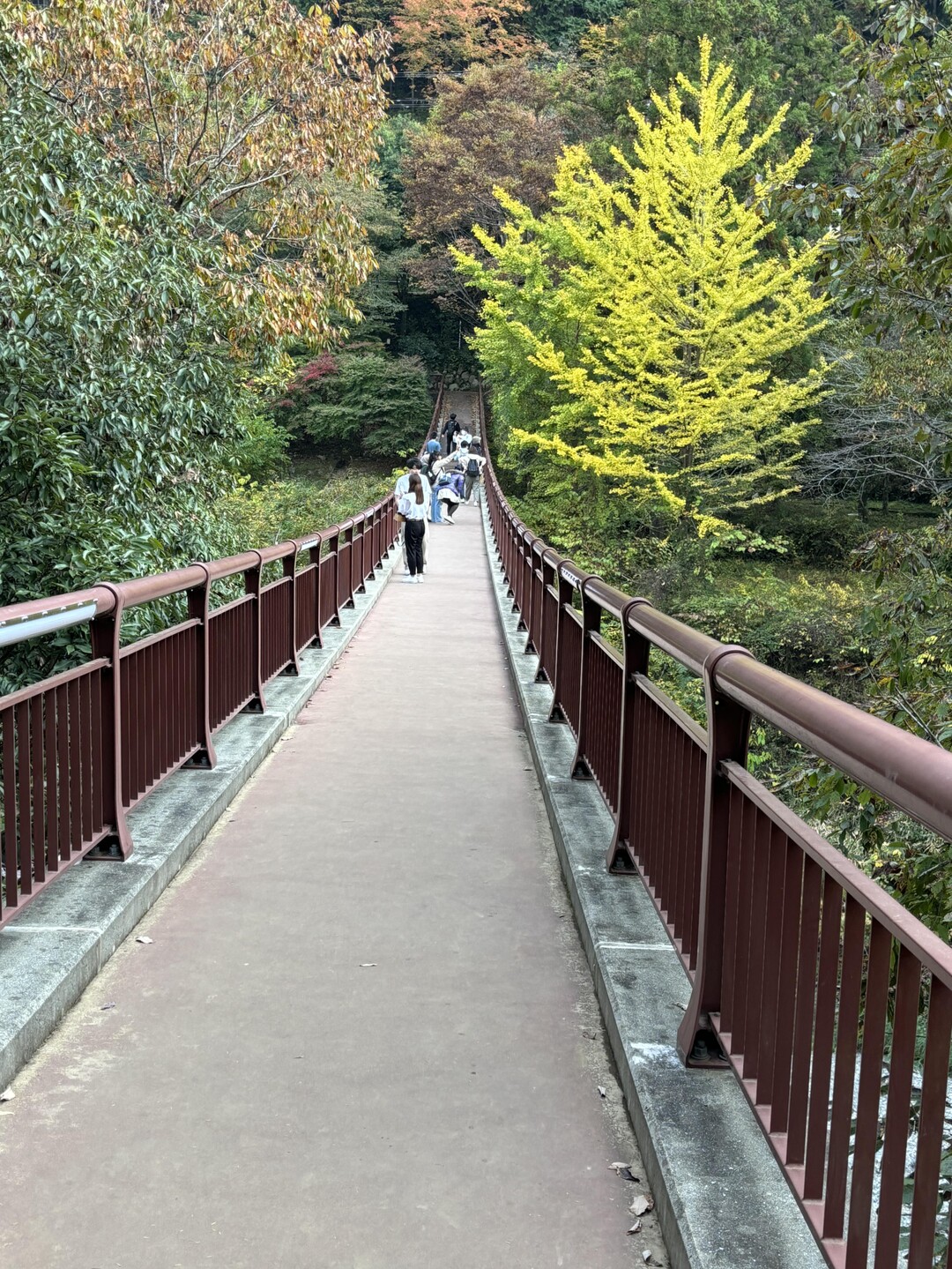 秋川渓谷＋城山（瀬音の湯） / asuさんの臼杵山・市道山・刈寄山の活動データ | YAMAP / ヤマップ