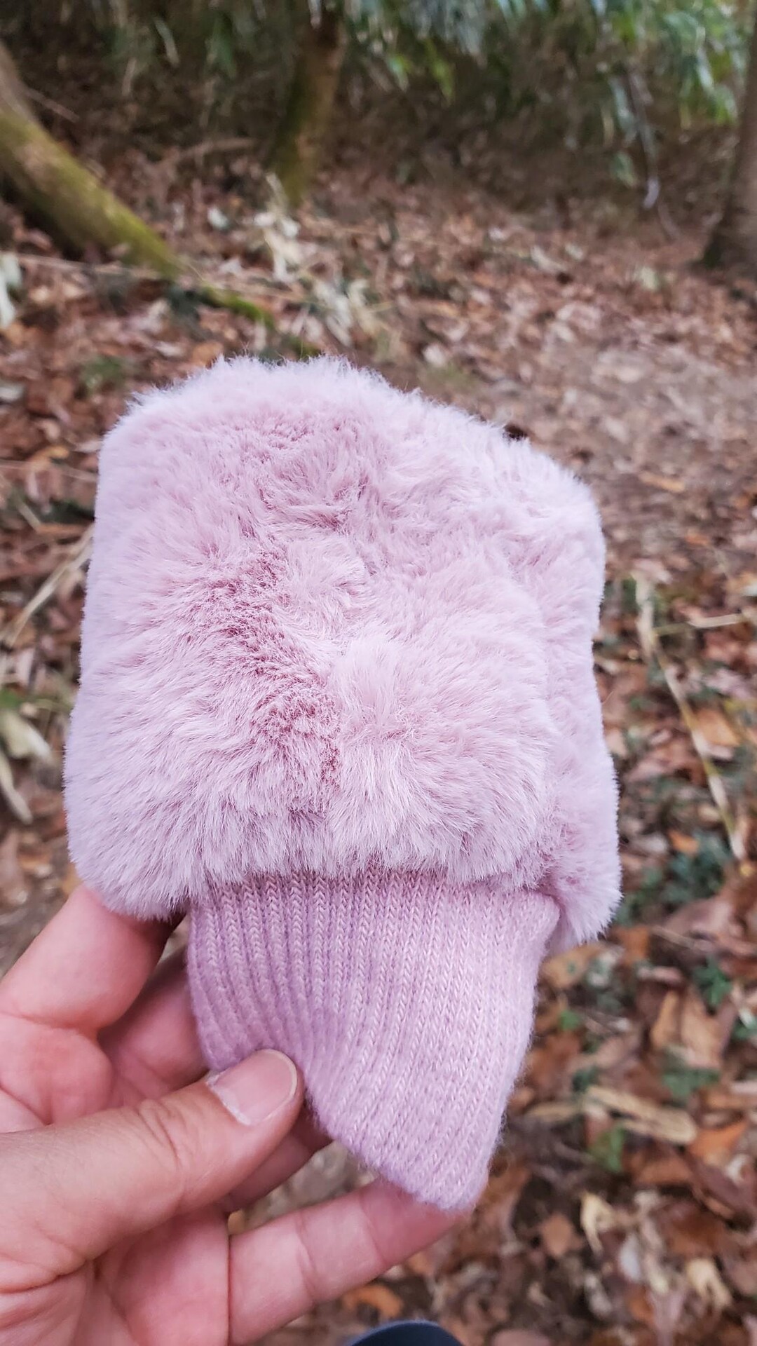 yamacampさんの投稿したフィールドメモ | YAMAP / ヤマップ