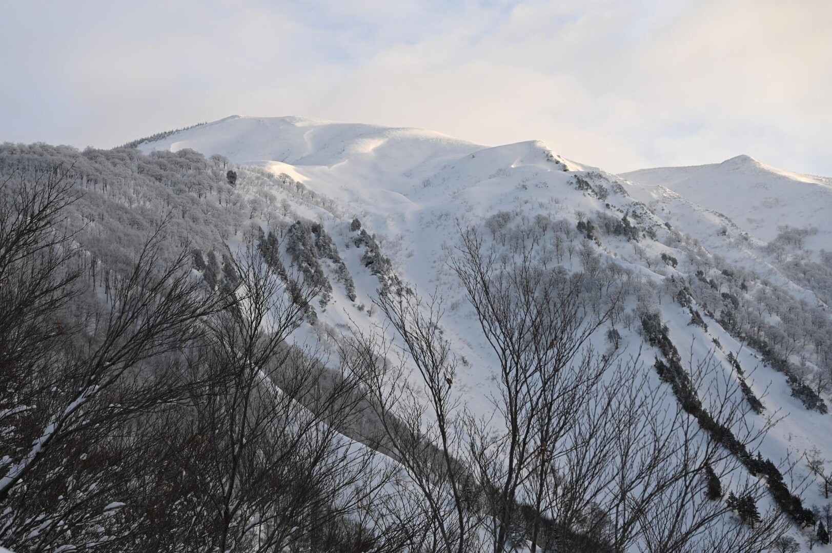 前巻機 / amさんの巻機山・割引岳・金城山の活動データ | YAMAP / ヤマップ