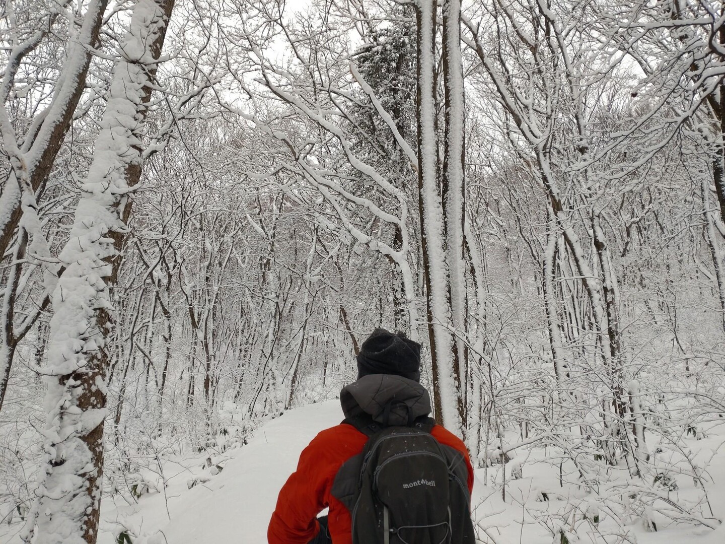12/18 近場の低山へ 1時間ちょっと... / Uruさんのモーメント | YAMAP / ヤマップ