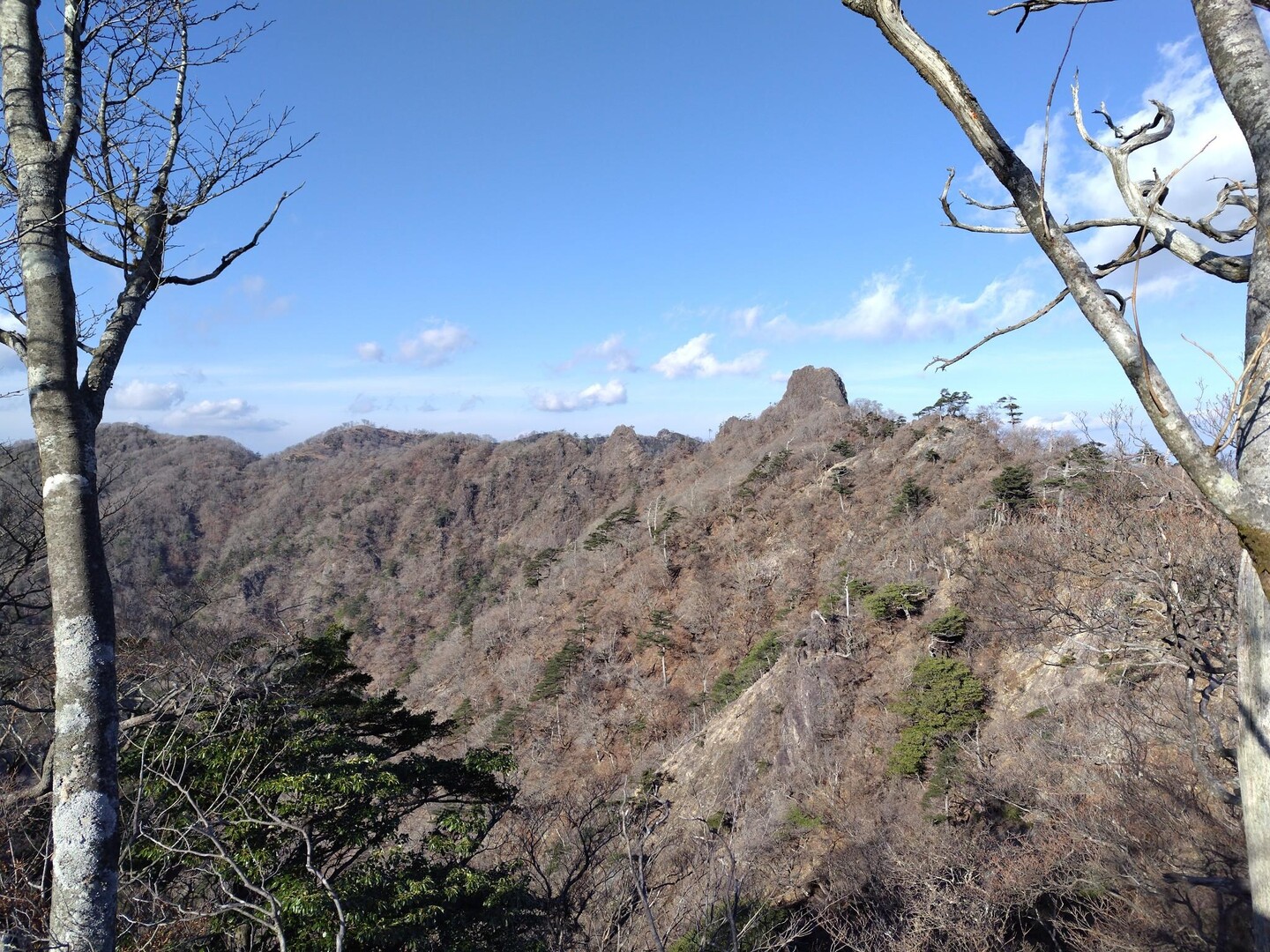 鹿納山 登山道整備 / nanaoさんの大崩山・五葉岳・新百姓山の活動データ | YAMAP / ヤマップ