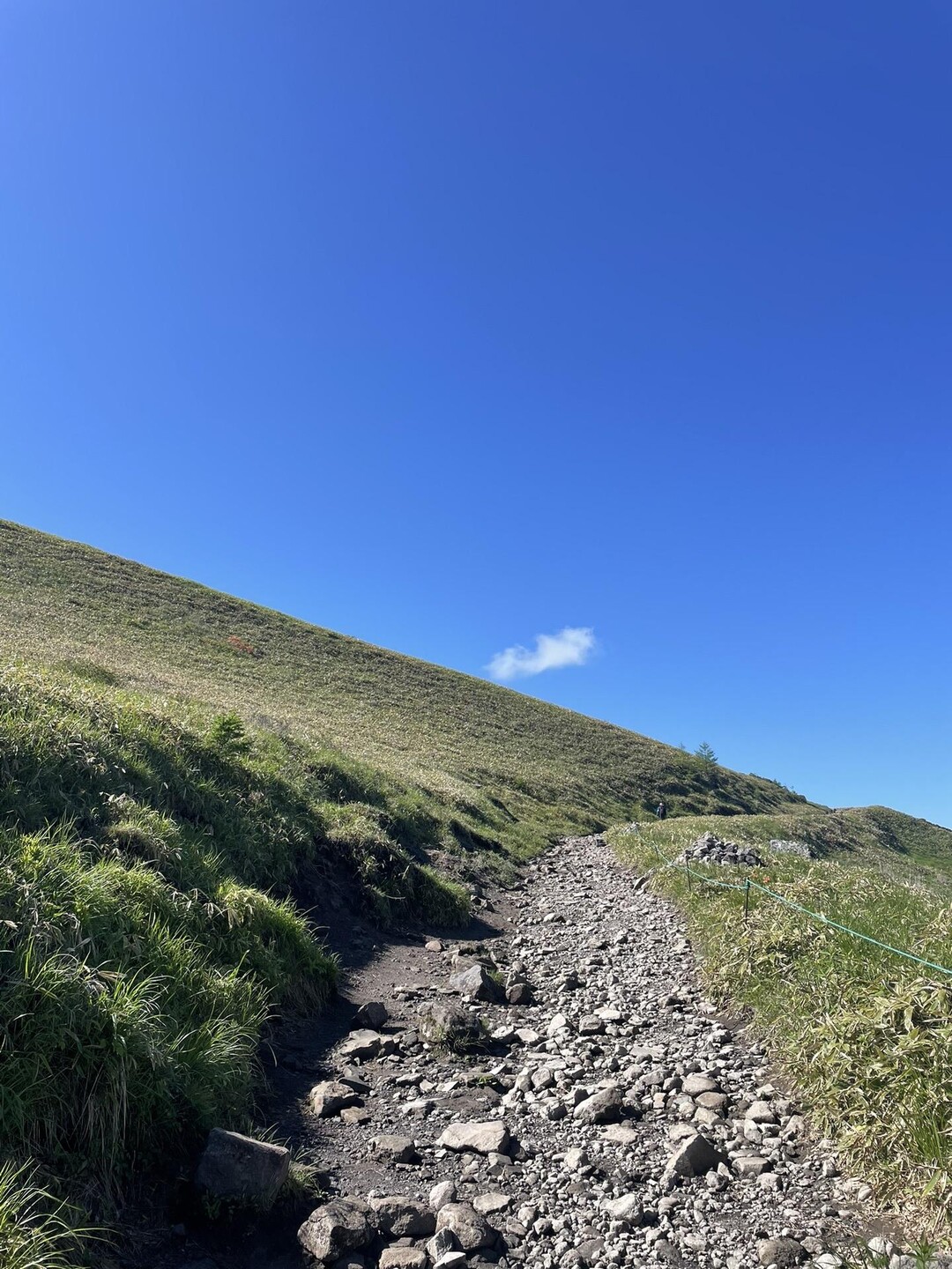 霧ヶ峰・車山・大笹峰-2023-06-17 / hikoさんの霧ヶ峰・車山・大笹峰の活動データ | YAMAP / ヤマップ