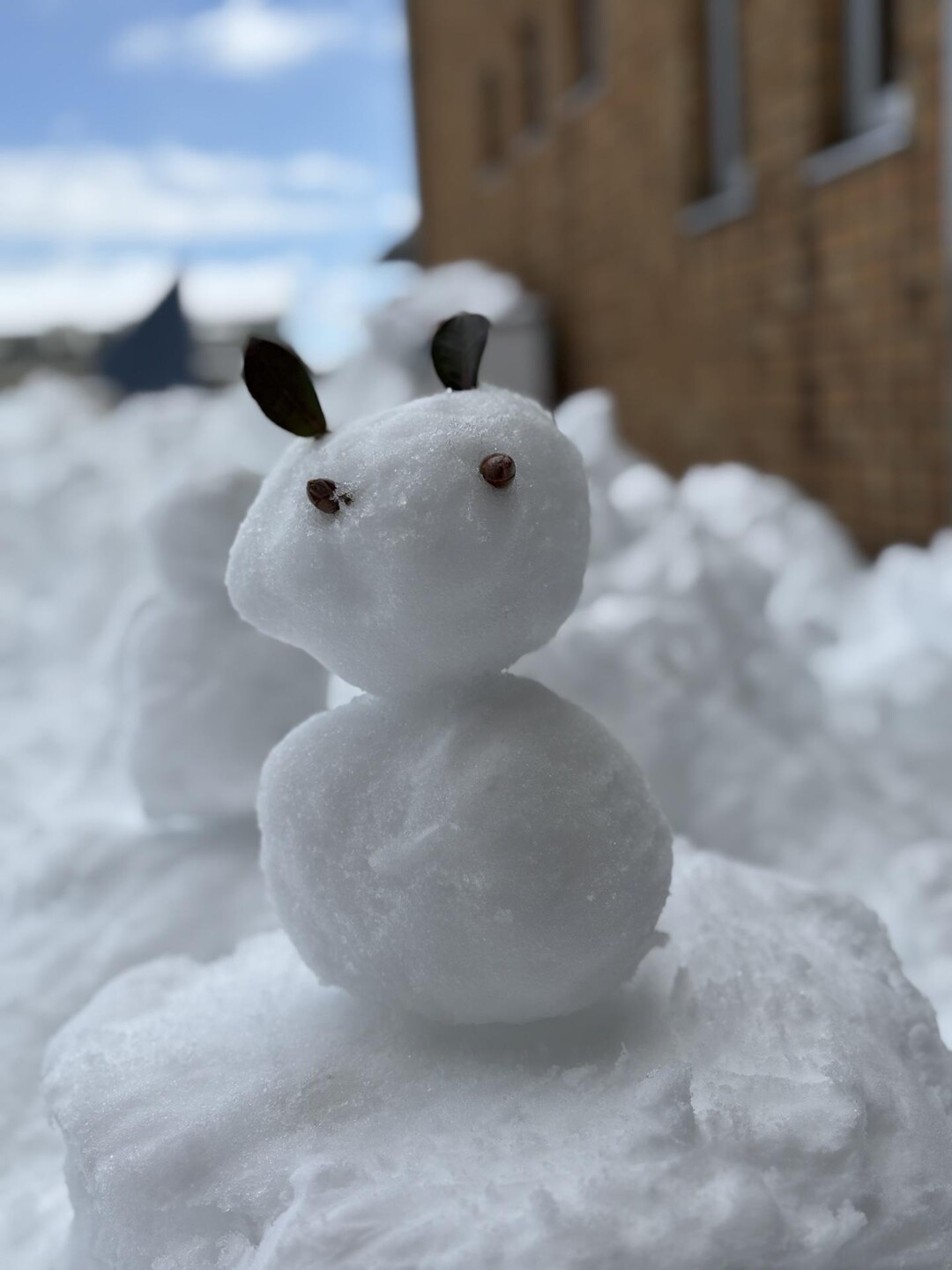 鈴鹿7mtの峰々に雪が付いた。 ソールが... / 登 人 《 ITC-ONE 》さんのモーメント | YAMAP / ヤマップ