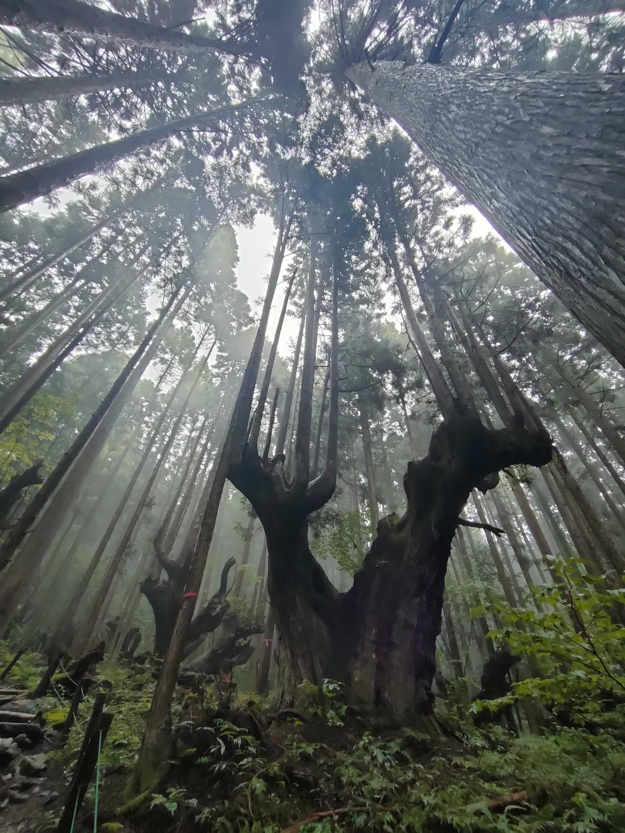 蕪山＆モネの池 / Akaneさんの蕪山の活動データ | YAMAP / ヤマップ