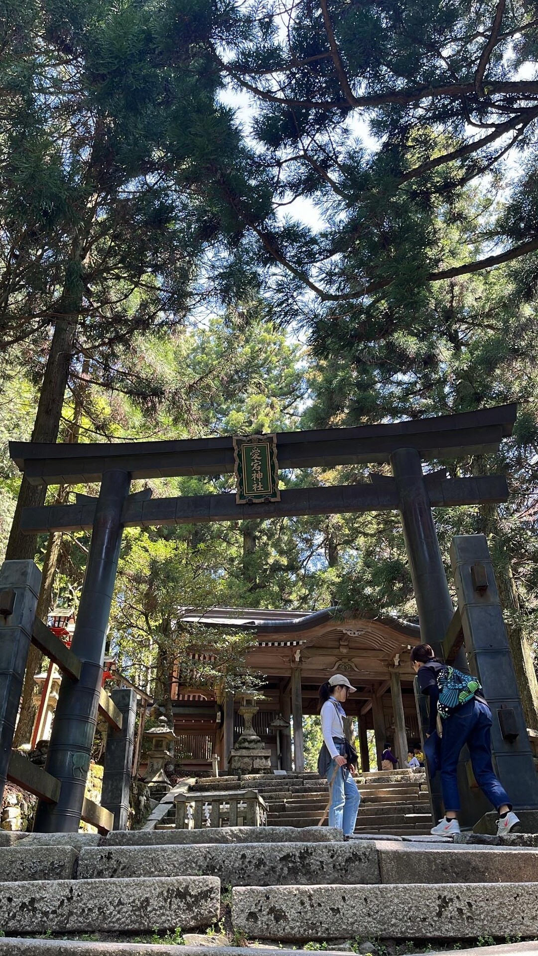 愛宕山 / KONOさんの愛宕山・三頭山・朝日峯の活動データ | YAMAP / ヤマップ