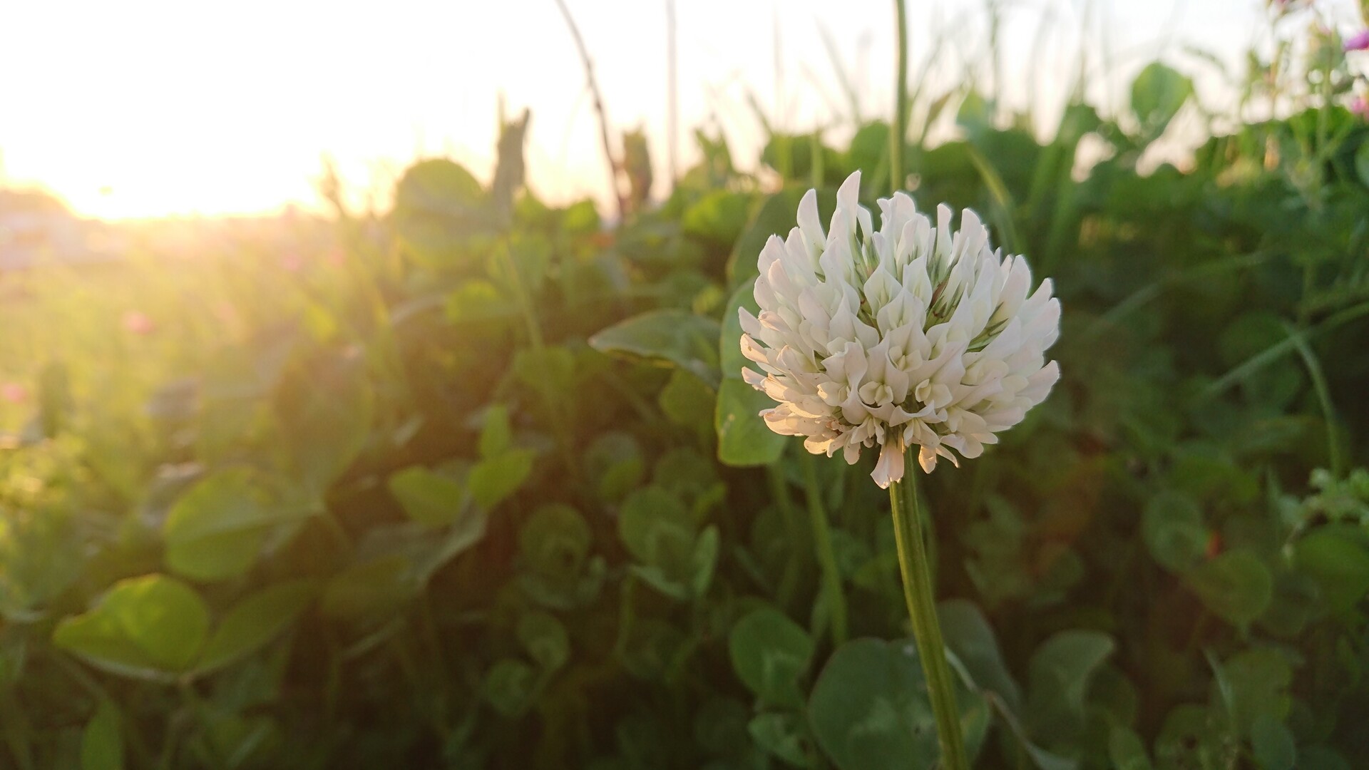 2021.03.25(木) 09:17 / たかなりさんのモーメント | YAMAP / ヤマップ