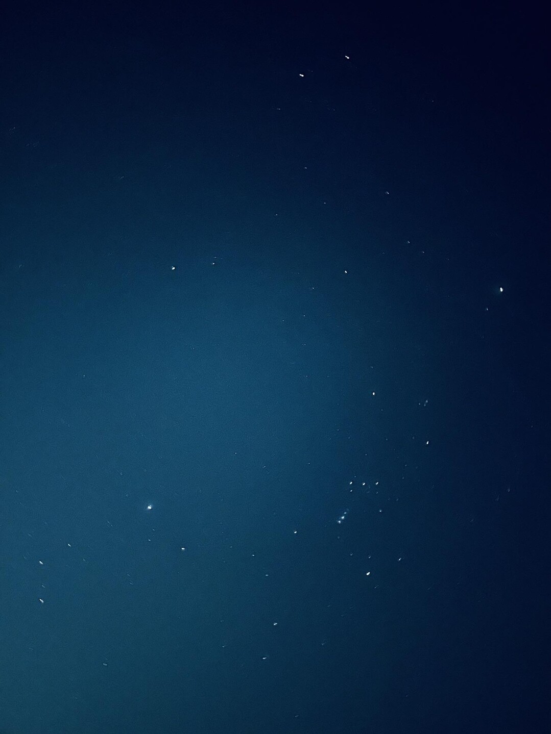 今朝4:15 ぺーちゃんに起こされ目が覚... / uruさんのモーメント | YAMAP / ヤマップ