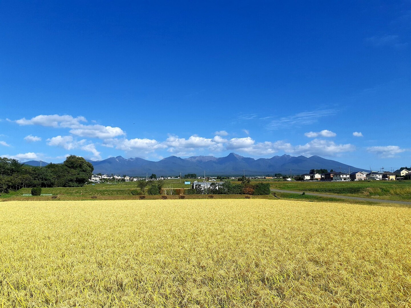 昨日の御嶽は 山頂付近では 5cm ほど... / Heroさんのモーメント | YAMAP / ヤマップ