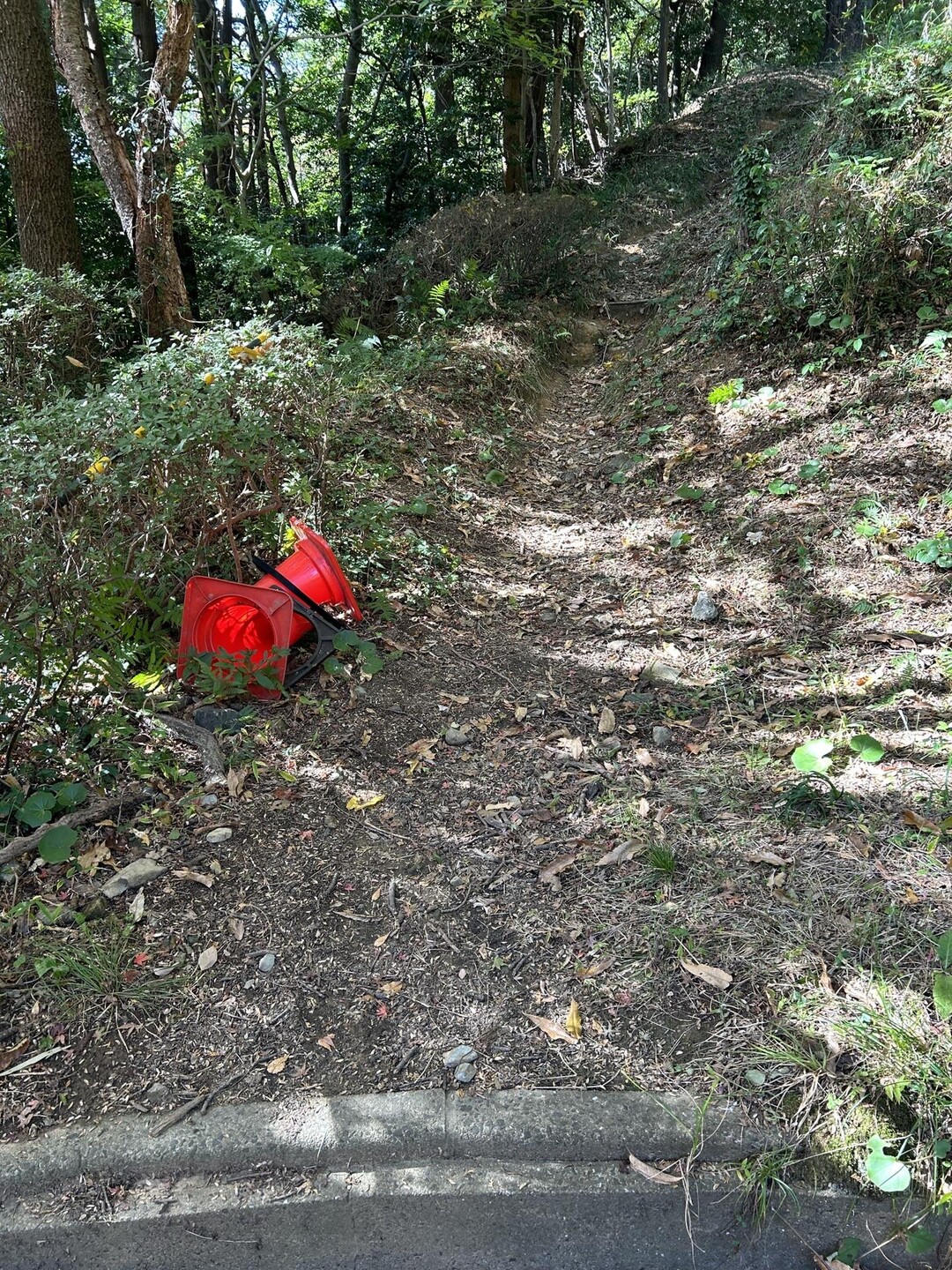 chihiro🌷さんの投稿したフィールドメモ | YAMAP / ヤマップ