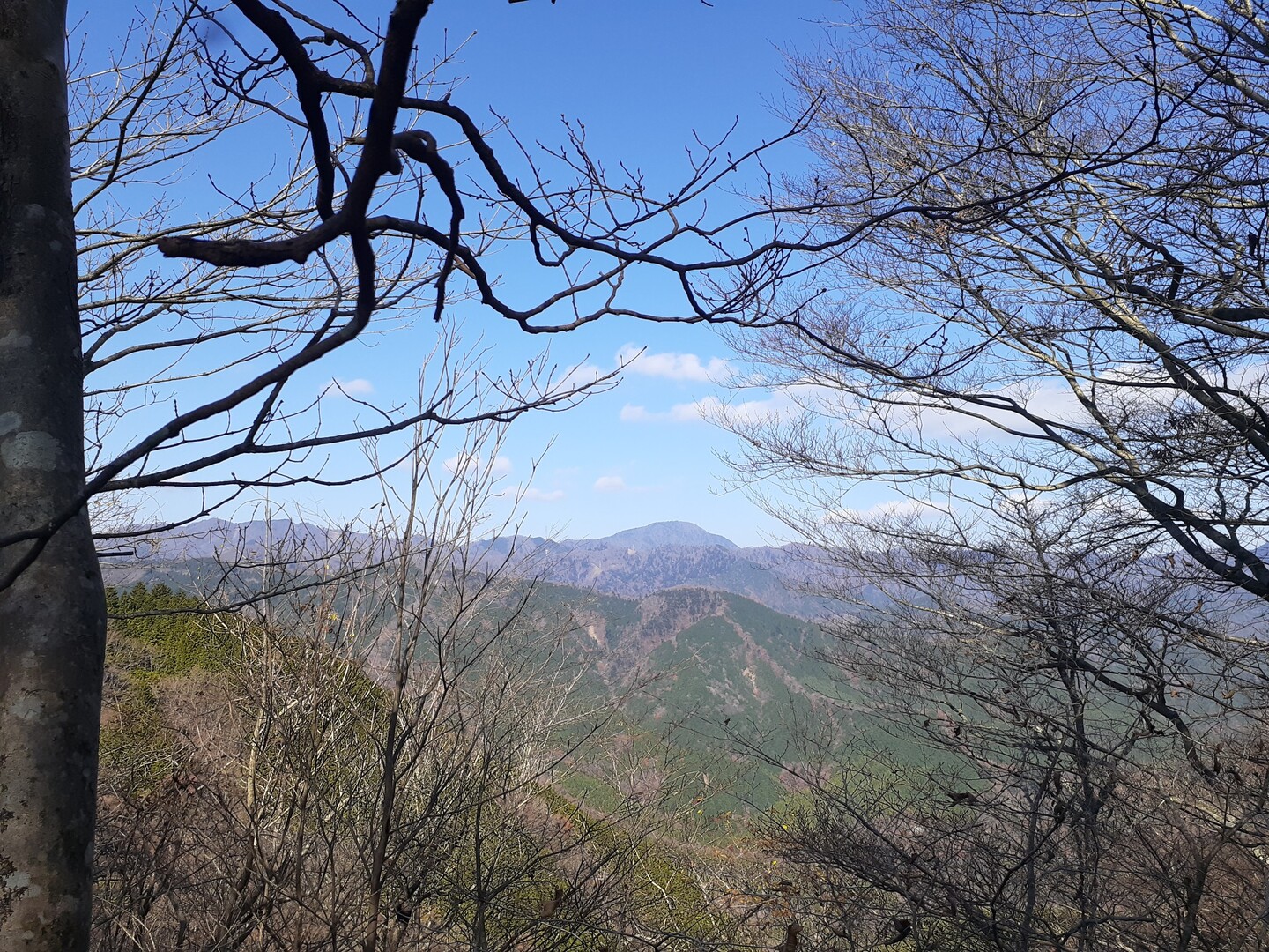 ko usさんの投稿したフィールドメモ | YAMAP / ヤマップ