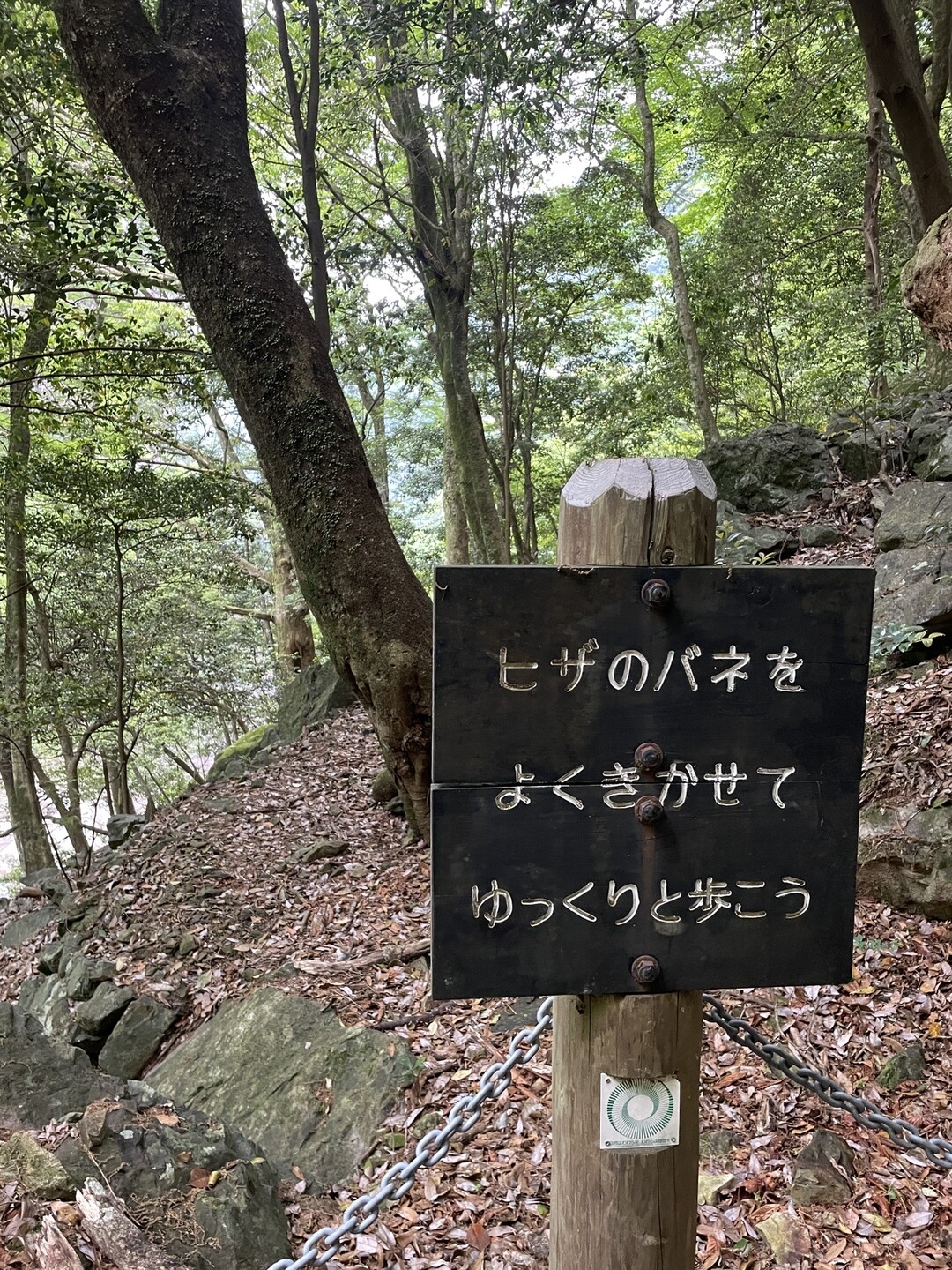 これを見てから膝を意識してます@大杉谷 / YOUKOWさんのモーメント | YAMAP / ヤマップ