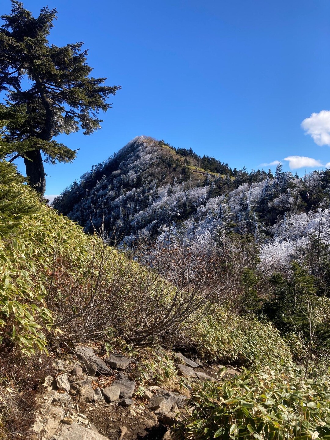 根子岳・四阿山 / jazzさんの四阿山・根子岳の活動データ | YAMAP / ヤマップ