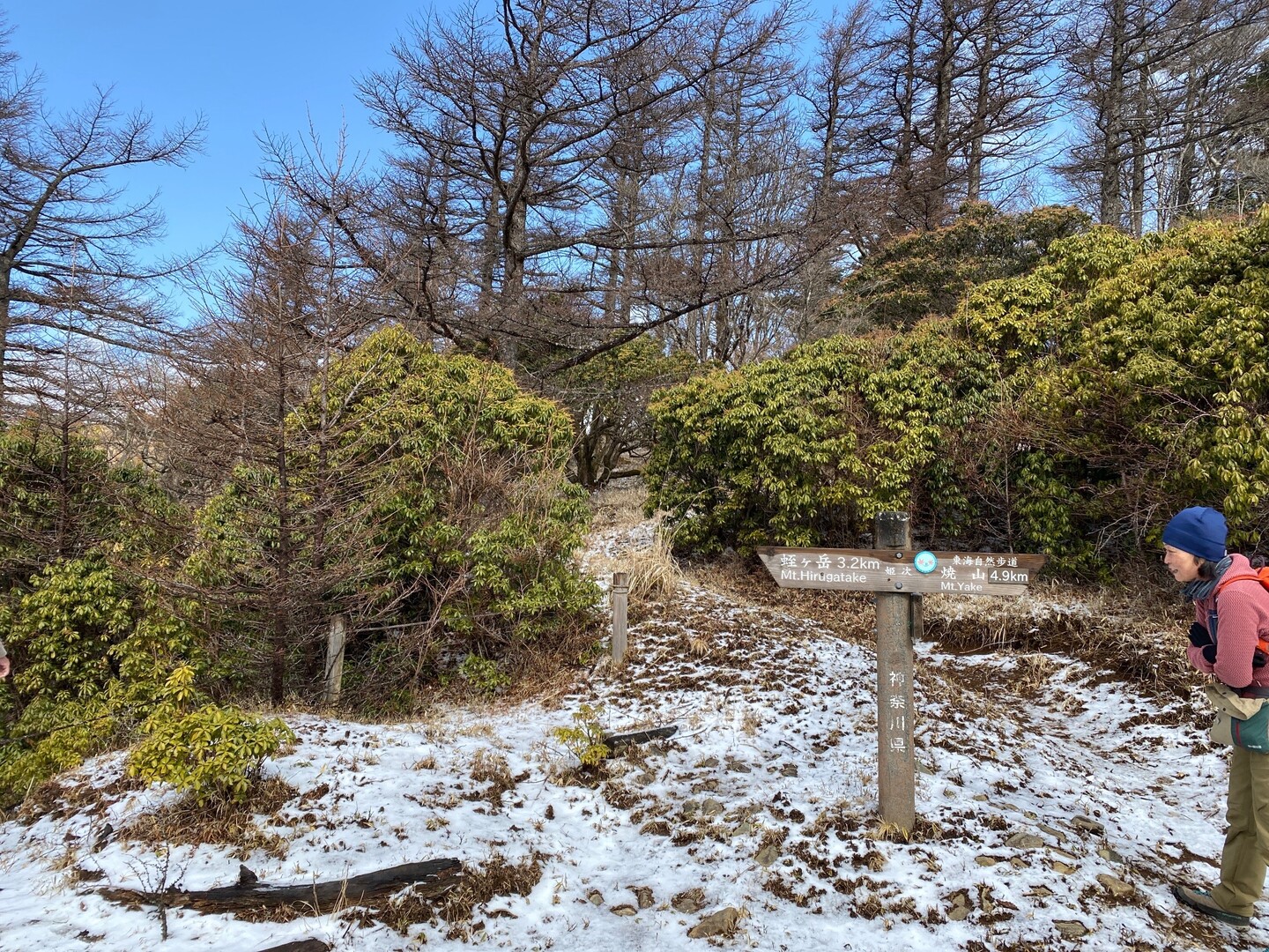 蛭ヶ岳へ 姫次でビバーグしたい / mtakoさんの塔ノ岳・丹沢山・蛭ヶ岳の活動データ | YAMAP / ヤマップ
