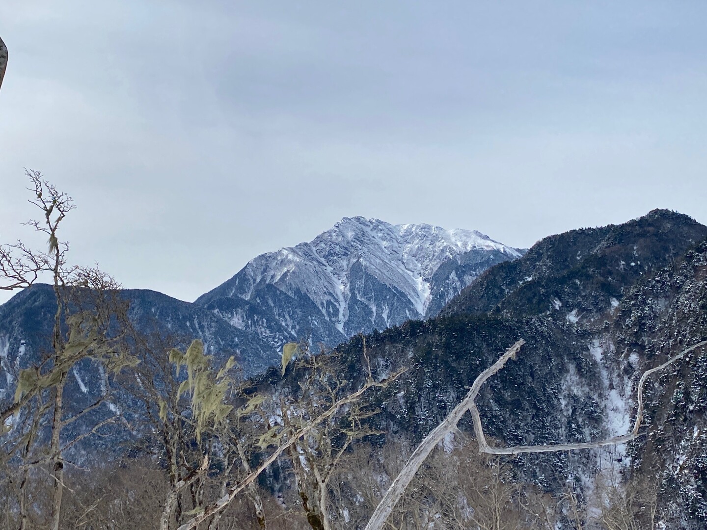 日向山 / mtakoさんのウォーキングの活動データ | YAMAP / ヤマップ