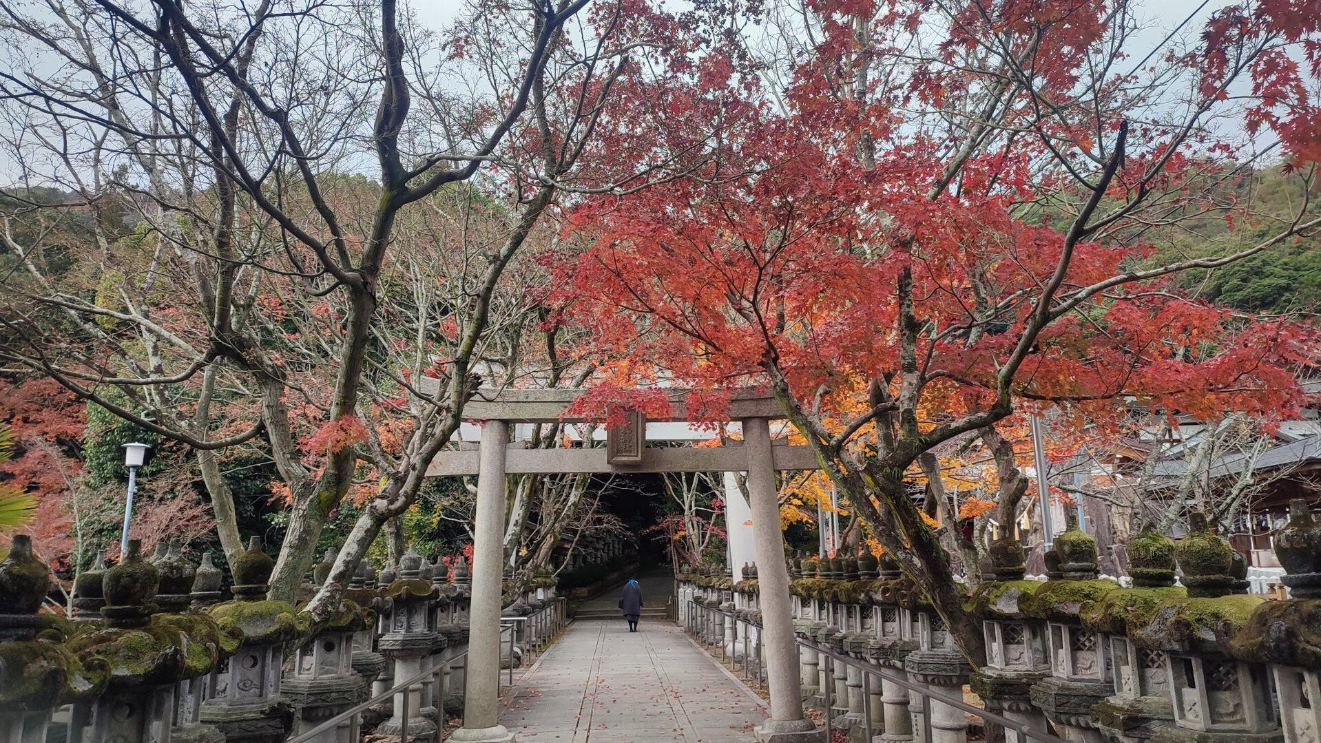 高御位山（播磨アルプス） / すえきちさんの塩野尾山・塩垂山・三星山の活動データ | YAMAP / ヤマップ