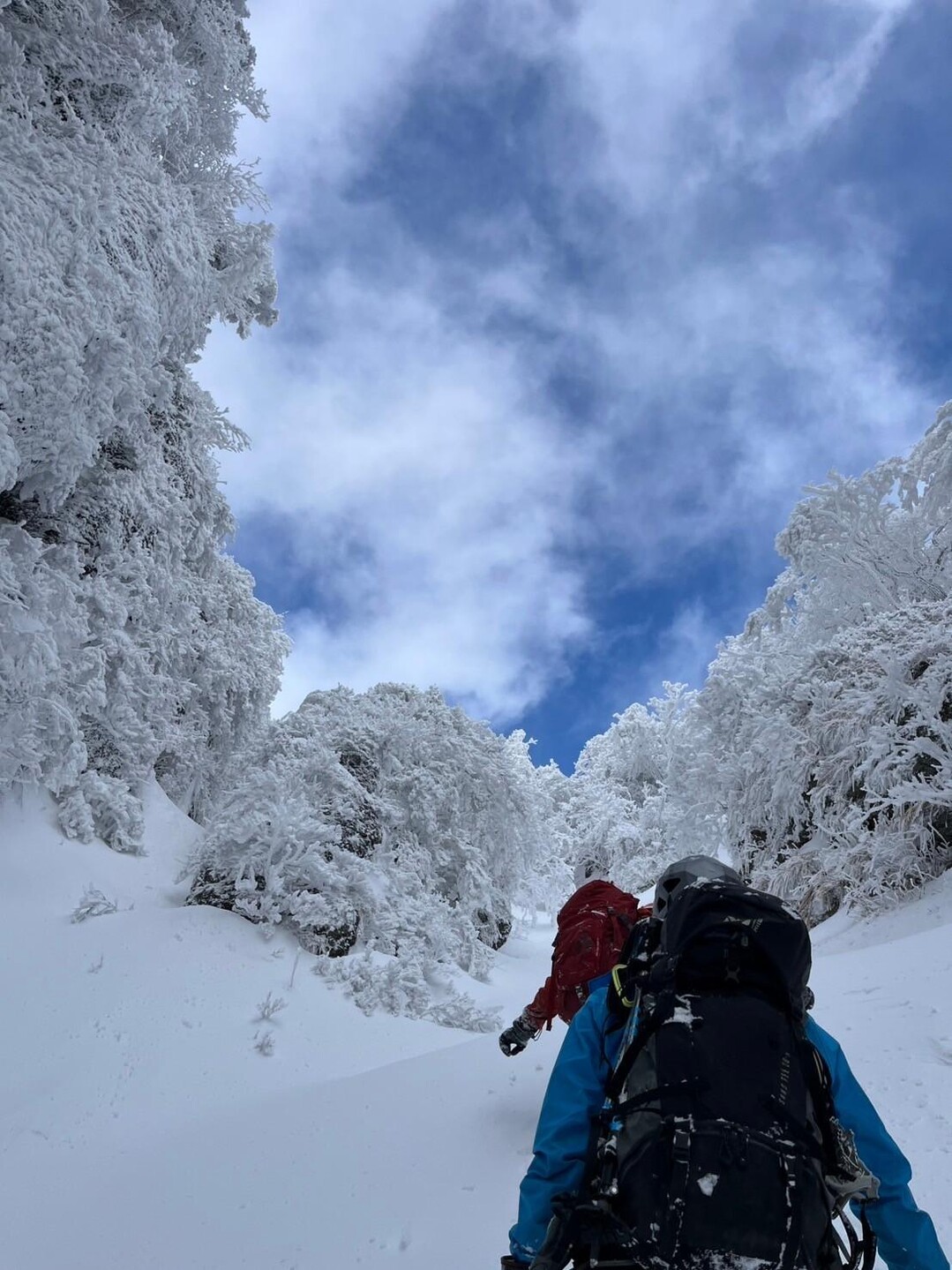 岩本谷から大日キレット直登 / t-setoさんの観音峯山・大普賢岳・山上ヶ岳・稲村ヶ岳の活動データ | YAMAP / ヤマップ