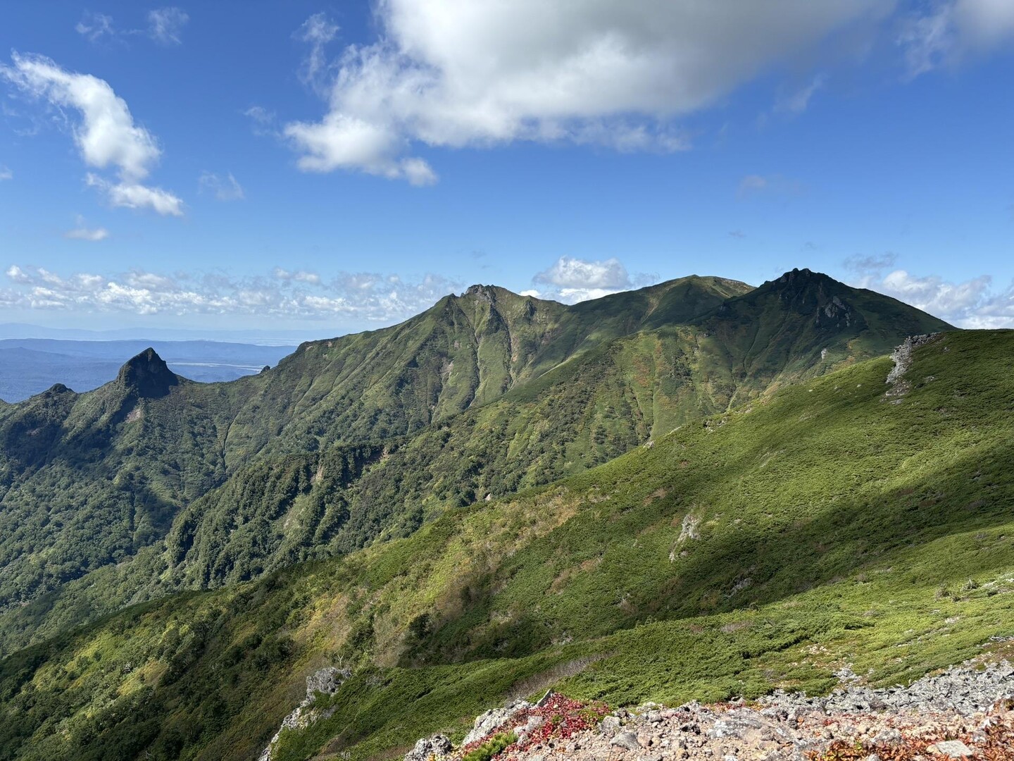 平山⛰🐿 / kao___87 ¨̮さんのニセイカウシュッペ山・平山・朝陽山の活動データ | YAMAP / ヤマップ