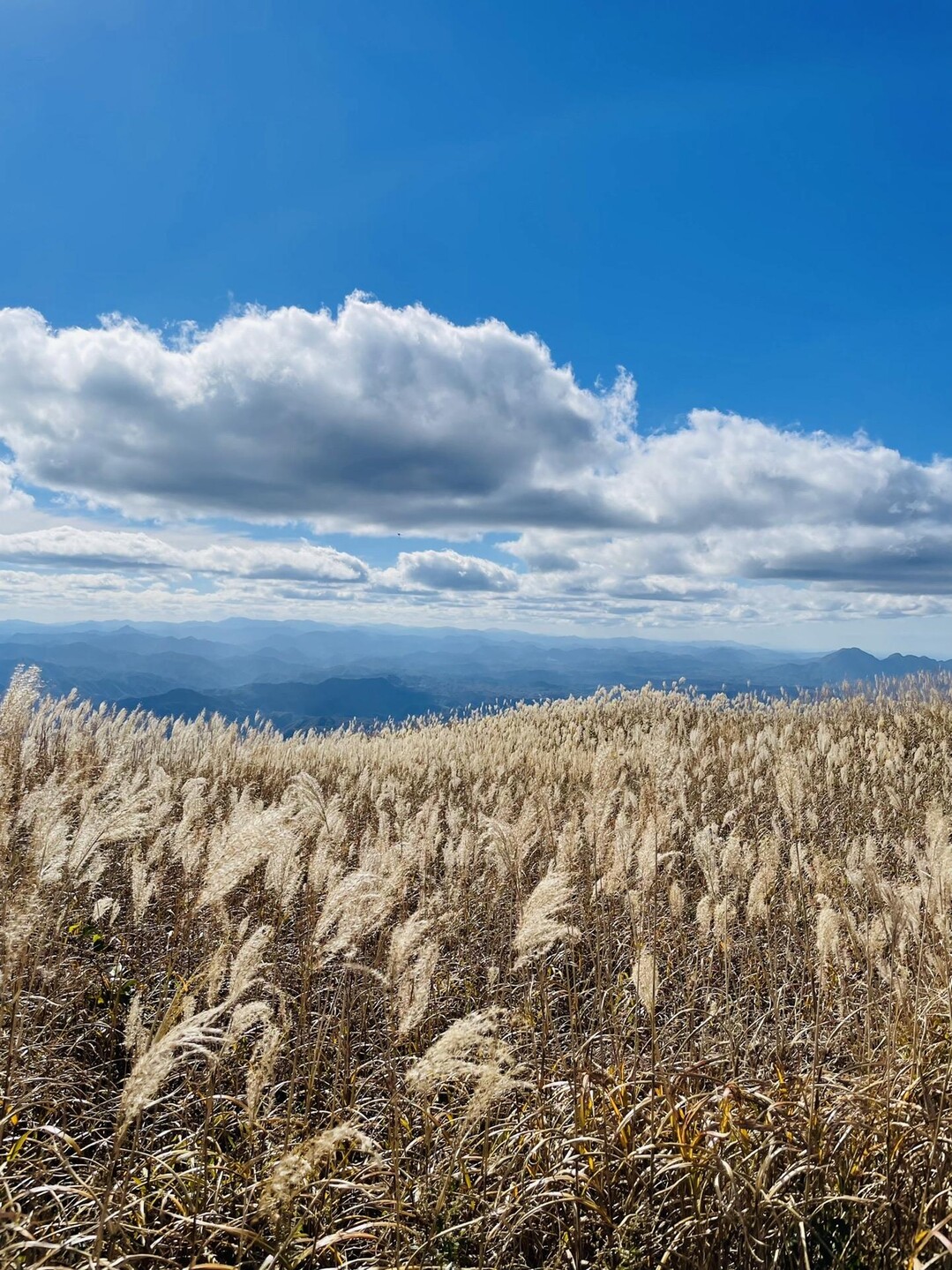 男三瓶山(三瓶山) / smzさんの三瓶山・大平山の活動日記 | YAMAP / ヤマップ