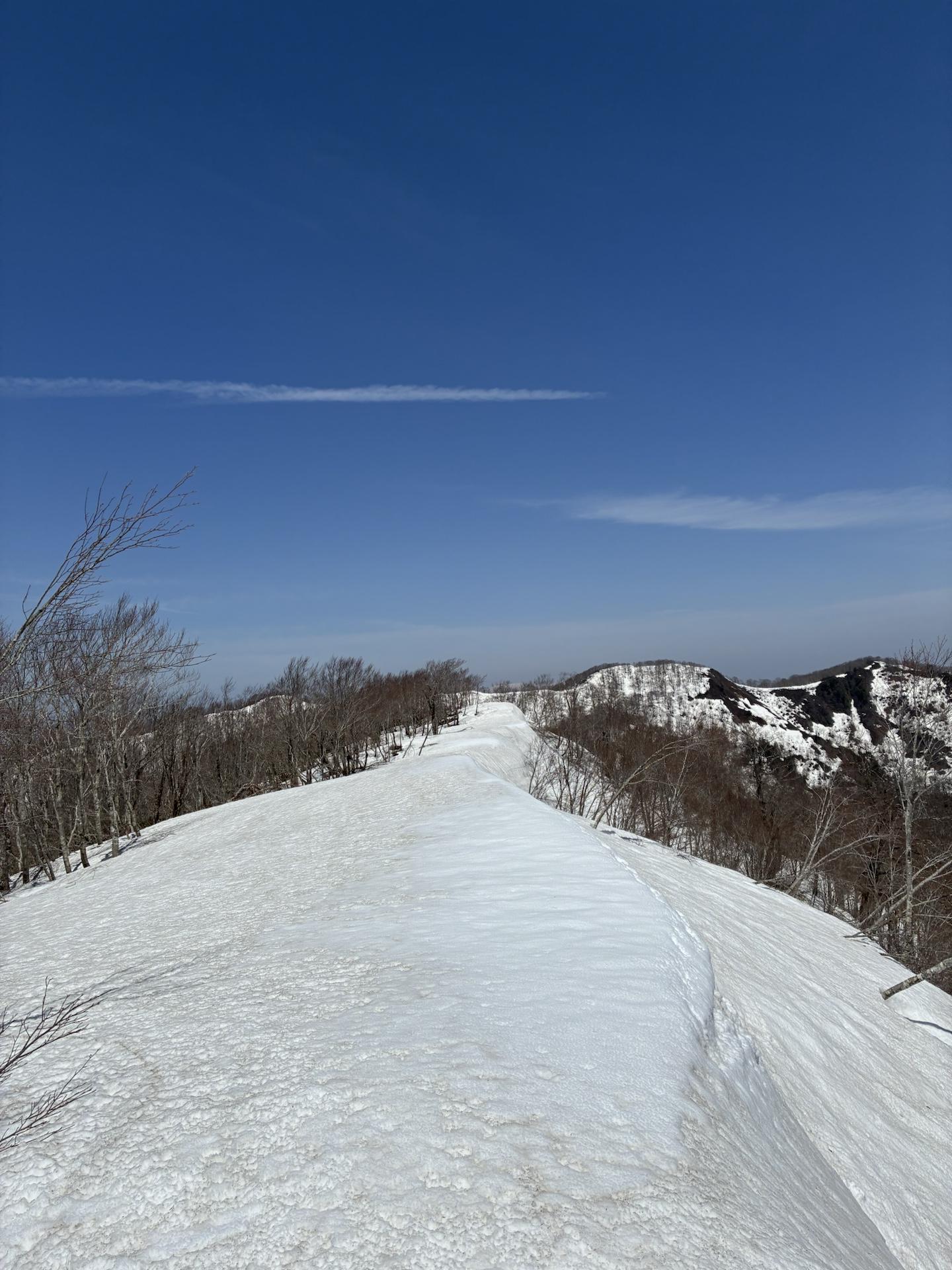 博士山・社峰 / Yasさんの博士山の活動データ | YAMAP / ヤマップ