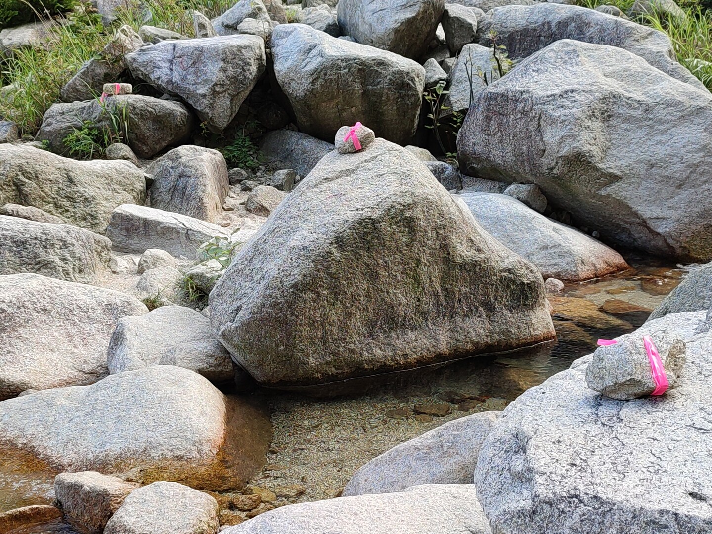 aoisoraさんの投稿したフィールドメモ | YAMAP / ヤマップ