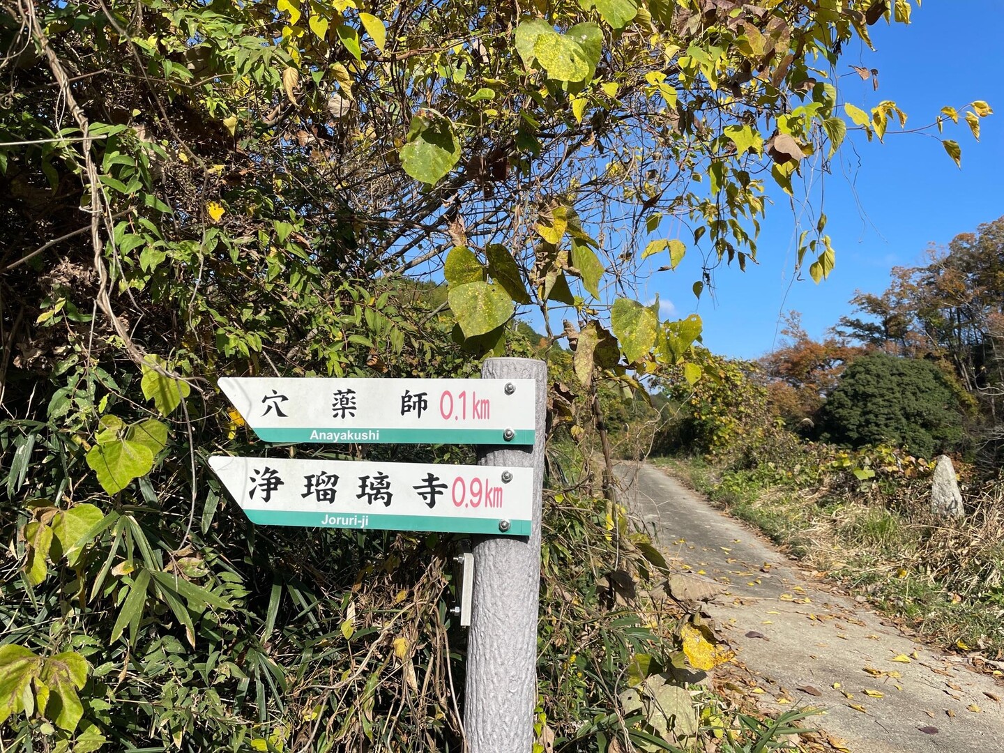 薪作りの手伝いの 合間に ちょこっと散歩... / いーちゃんさんのモーメント | YAMAP / ヤマップ