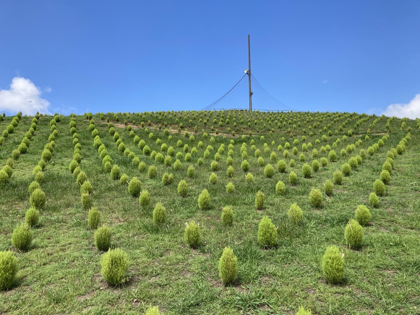 20240813箱館山 / Eno-chanさんの箱館山の活動データ | YAMAP / ヤマップ