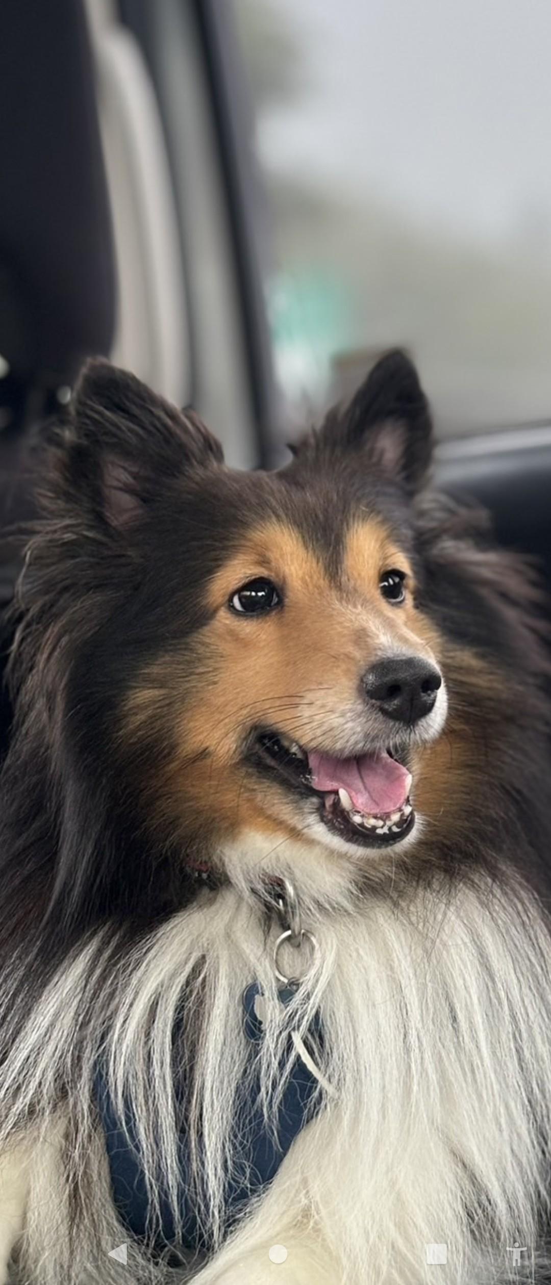 Teddyのページ | YAMAP / ヤマップ