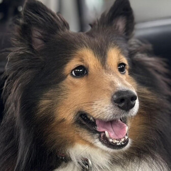 Teddyのページ | YAMAP / ヤマップ