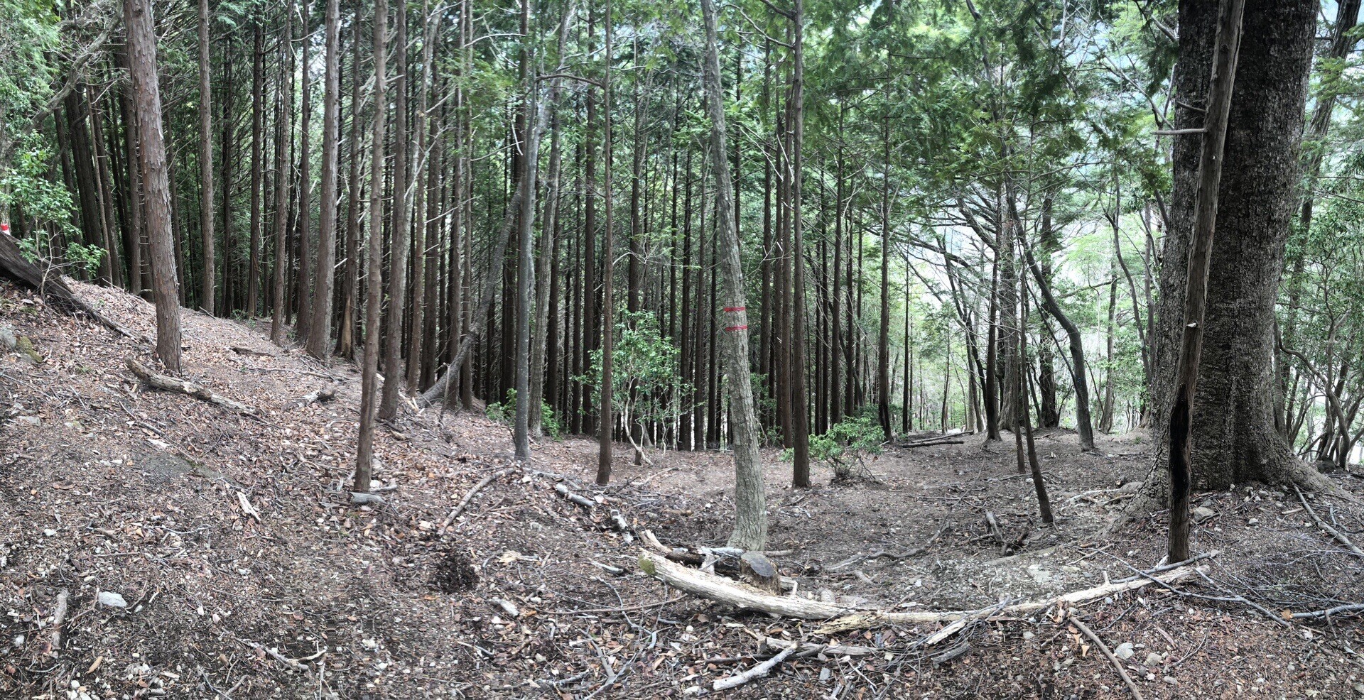 いけりなさんの投稿したフィールドメモ | YAMAP / ヤマップ