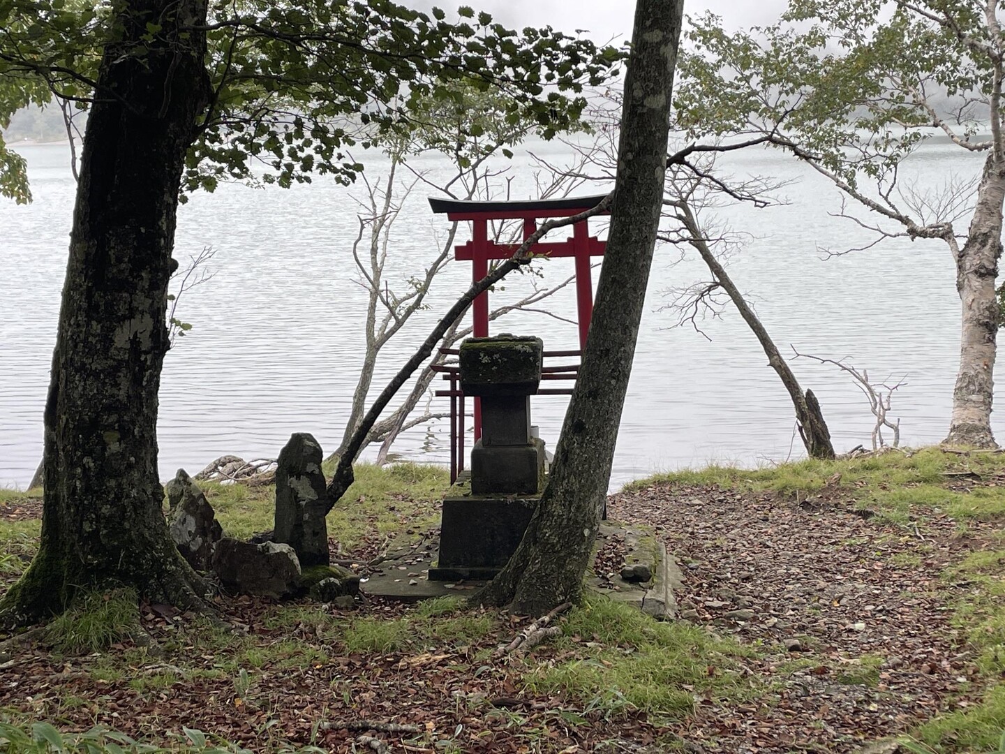 長七郎山・地蔵岳 / ryosukさんの赤城山・黒檜山・荒山の活動データ | YAMAP / ヤマップ