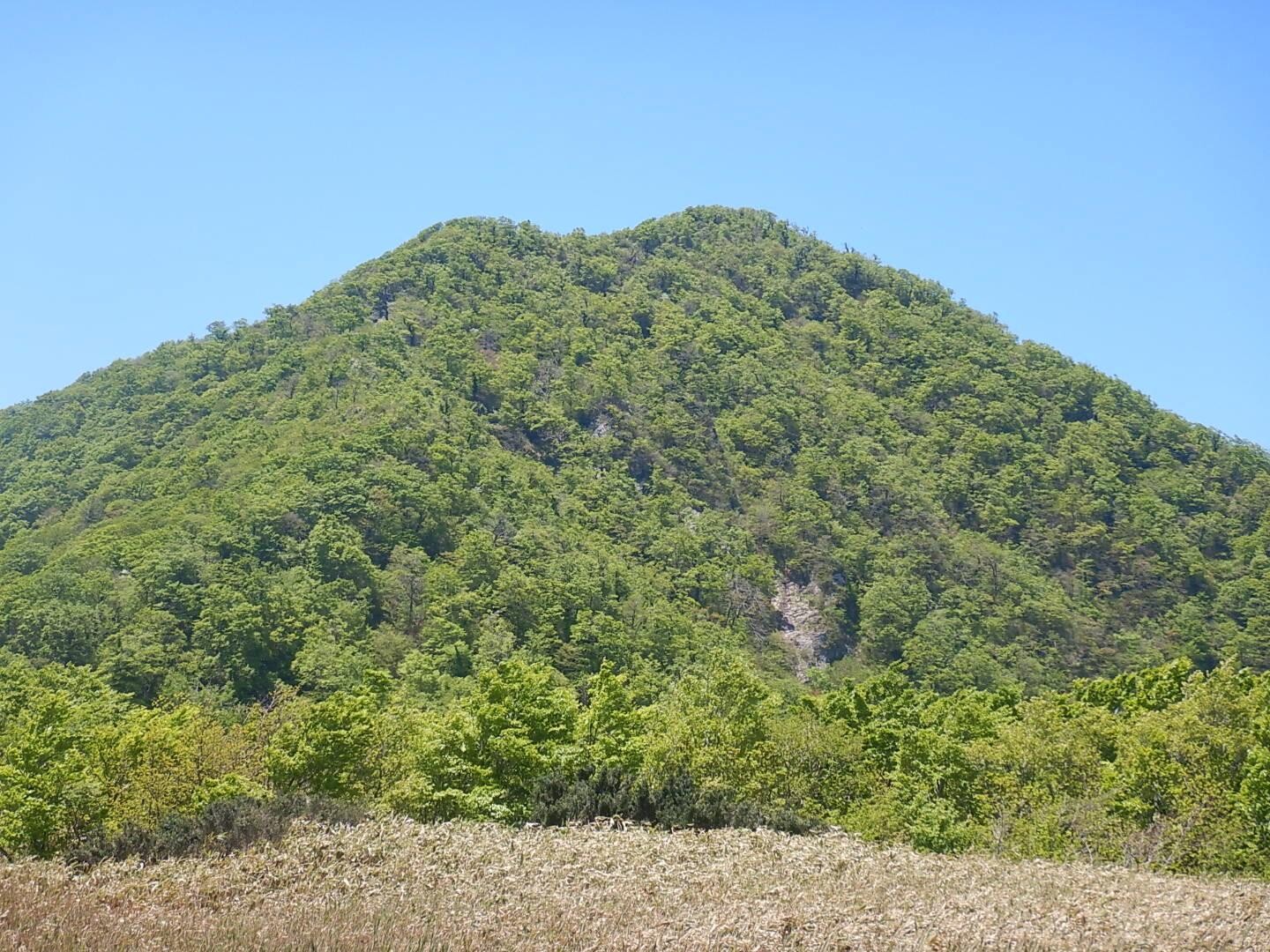 2024-5-4 GW遠征2日目 上蒜山・中蒜山 / タケさんの蒜山の活動データ | YAMAP / ヤマップ