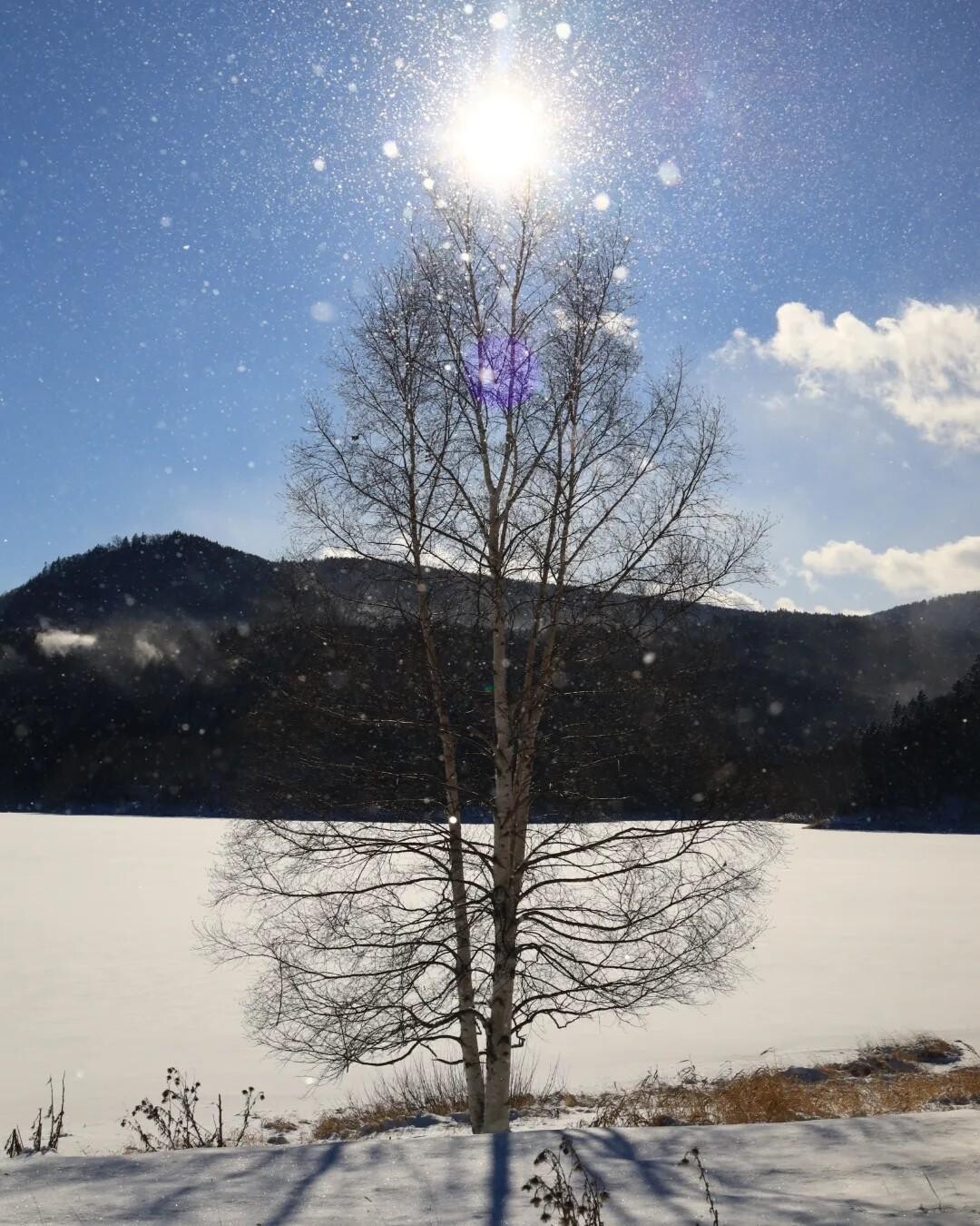 メリークリスマス🎄 / かずたOKTさんのモーメント | YAMAP / ヤマップ